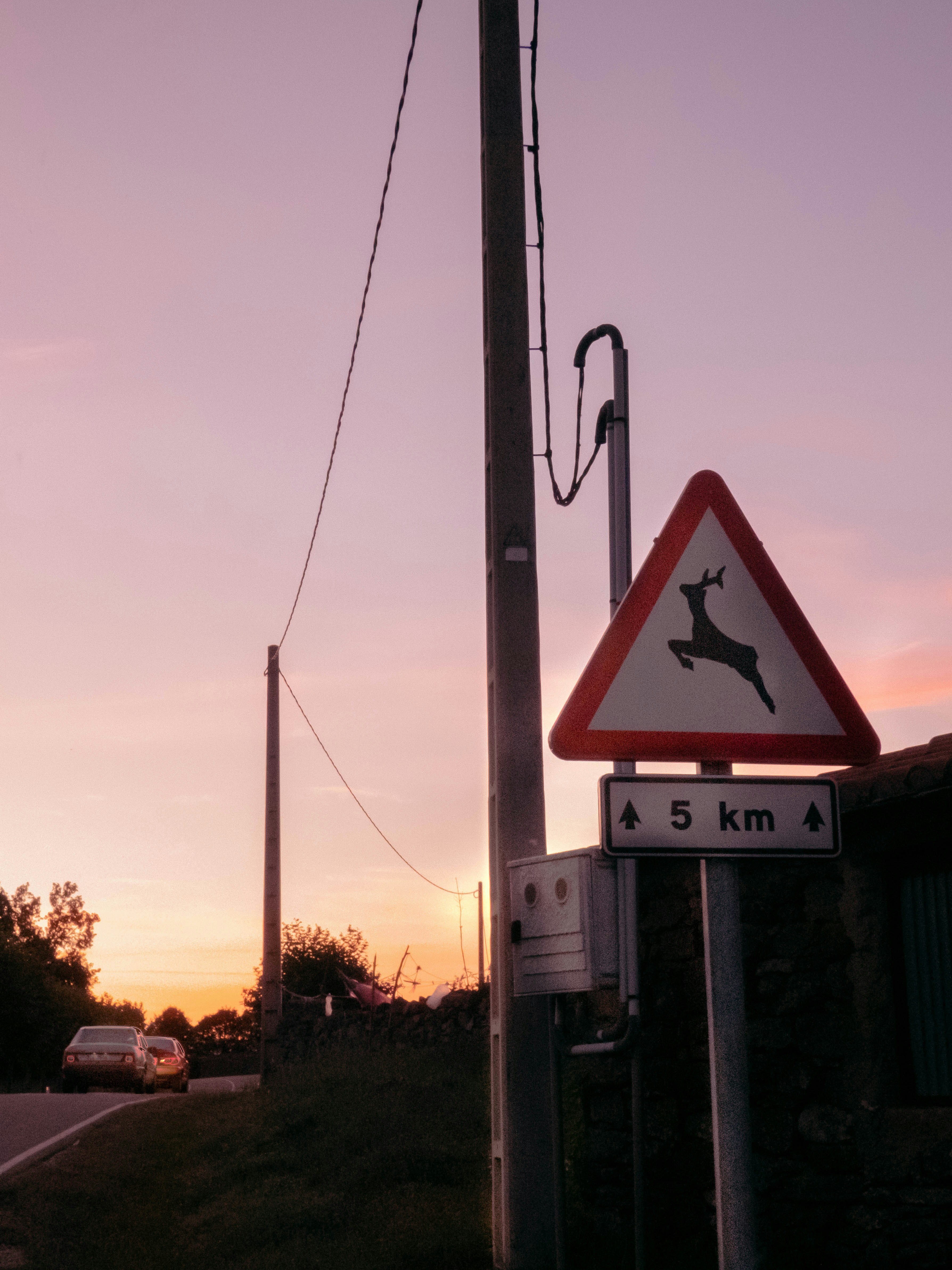 Dusk on a Quiet Road: The Deer-Crossing Sign Bathed in Golden Hour