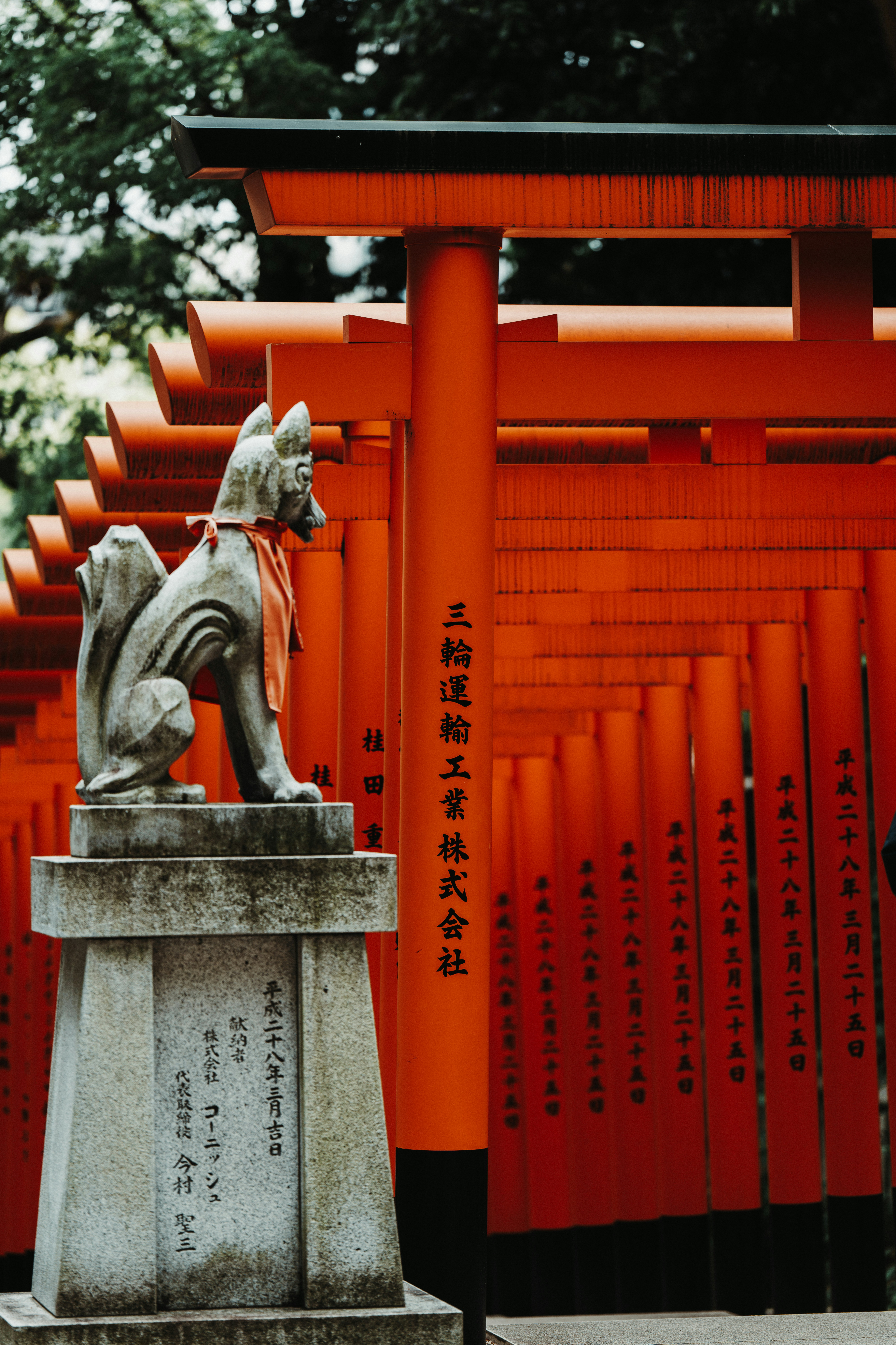 A statue of a dog in front of a row of red tori tori tori tori photo ...