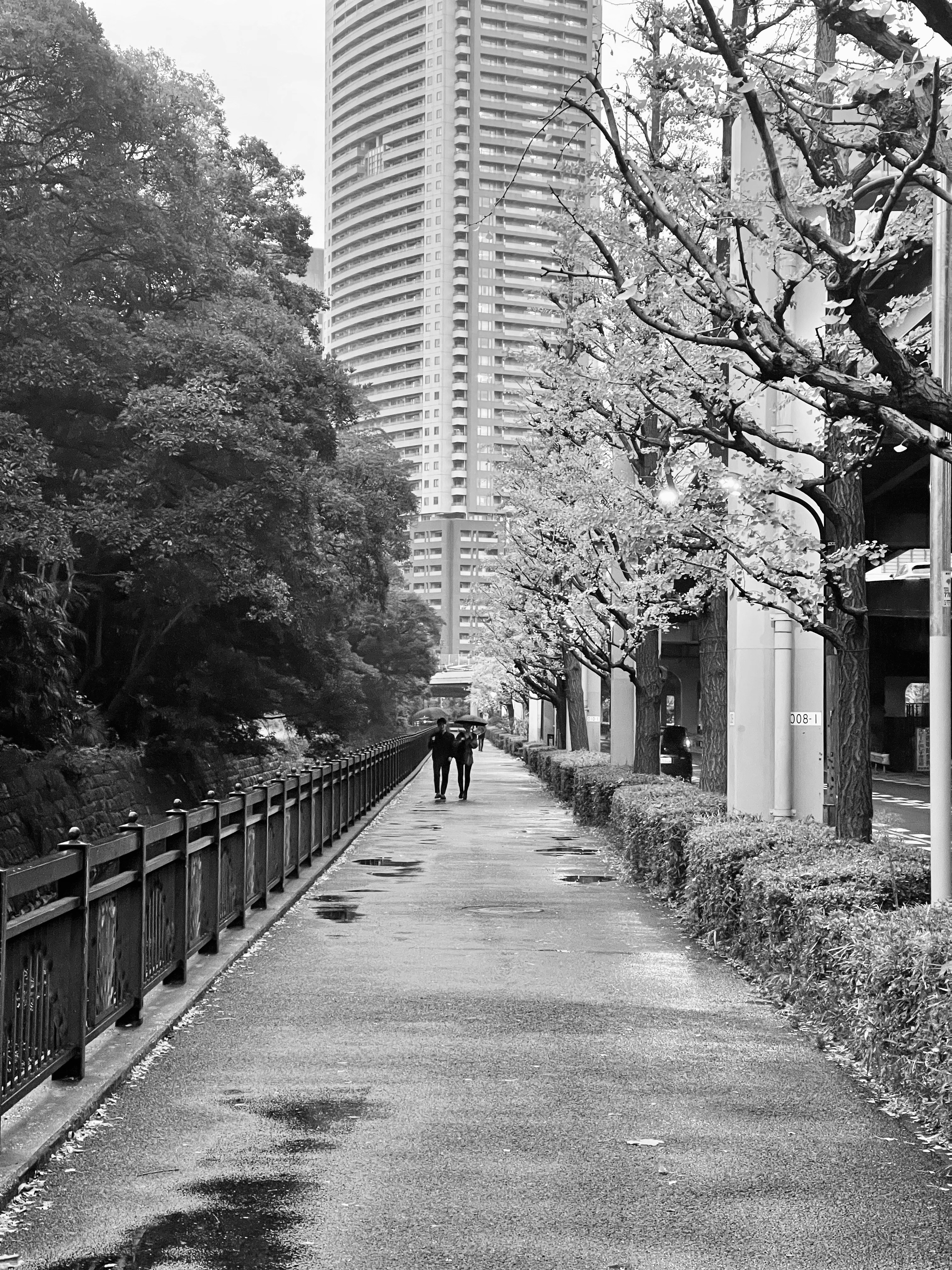 Two silhouettes on a rain-washed city promenade toward a glass-clad skyline