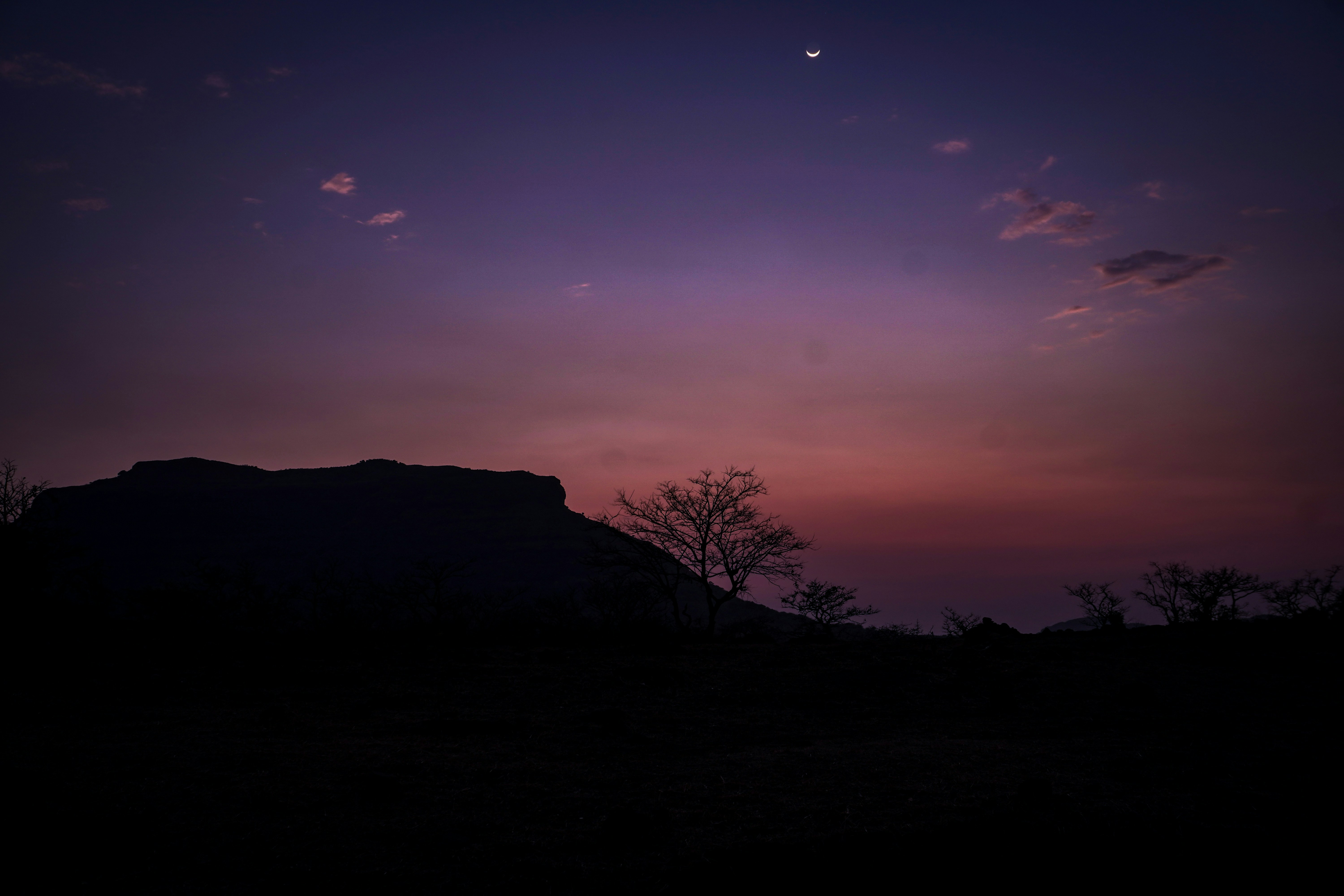 Dusk Silhouette: Moonlit Horizon Over a Quiet Plain