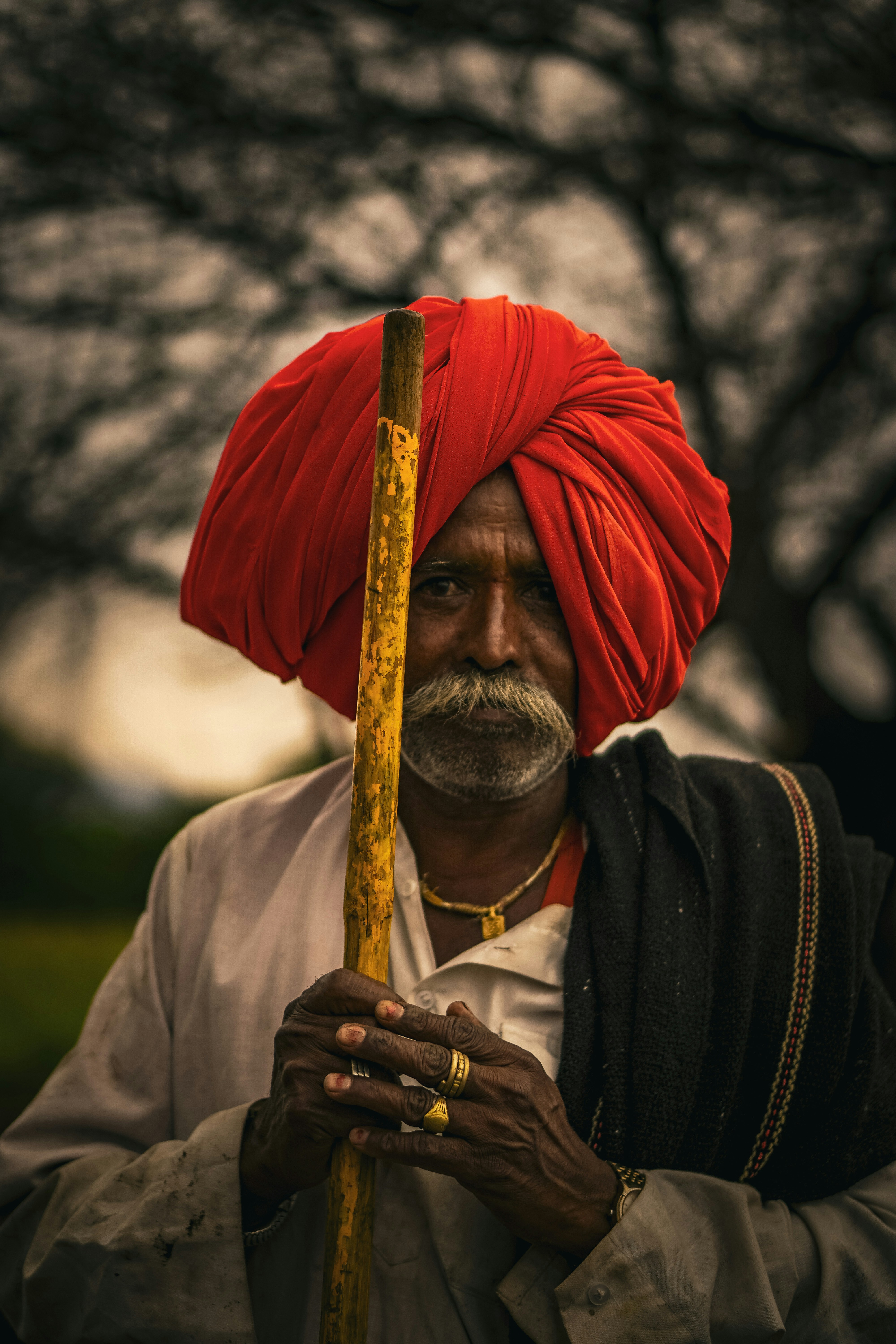 Photo by vinay manda with Sony Alpha 6400