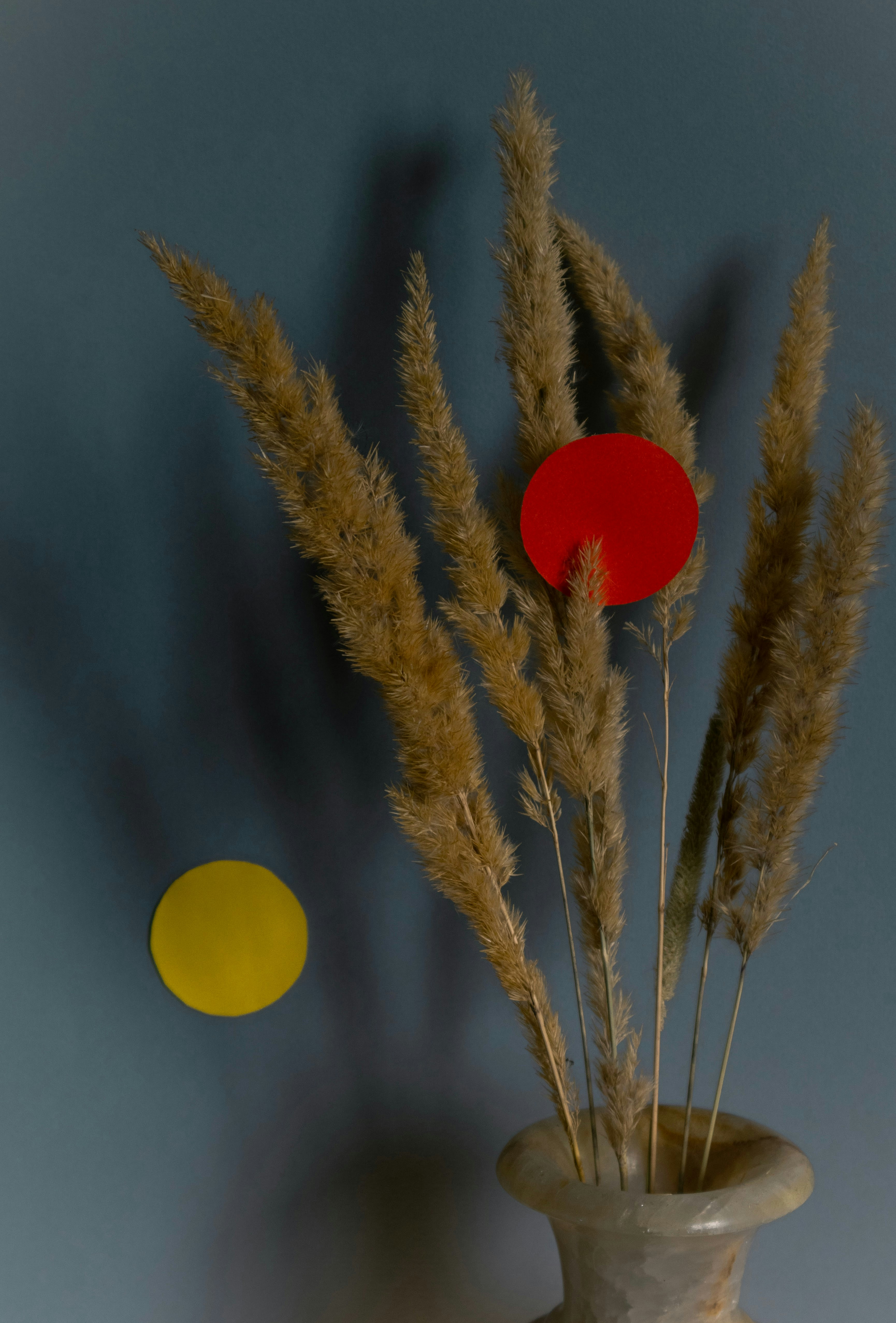 Un vase rempli de hautes herbes sèches à côté d’un disque jaune photo ...