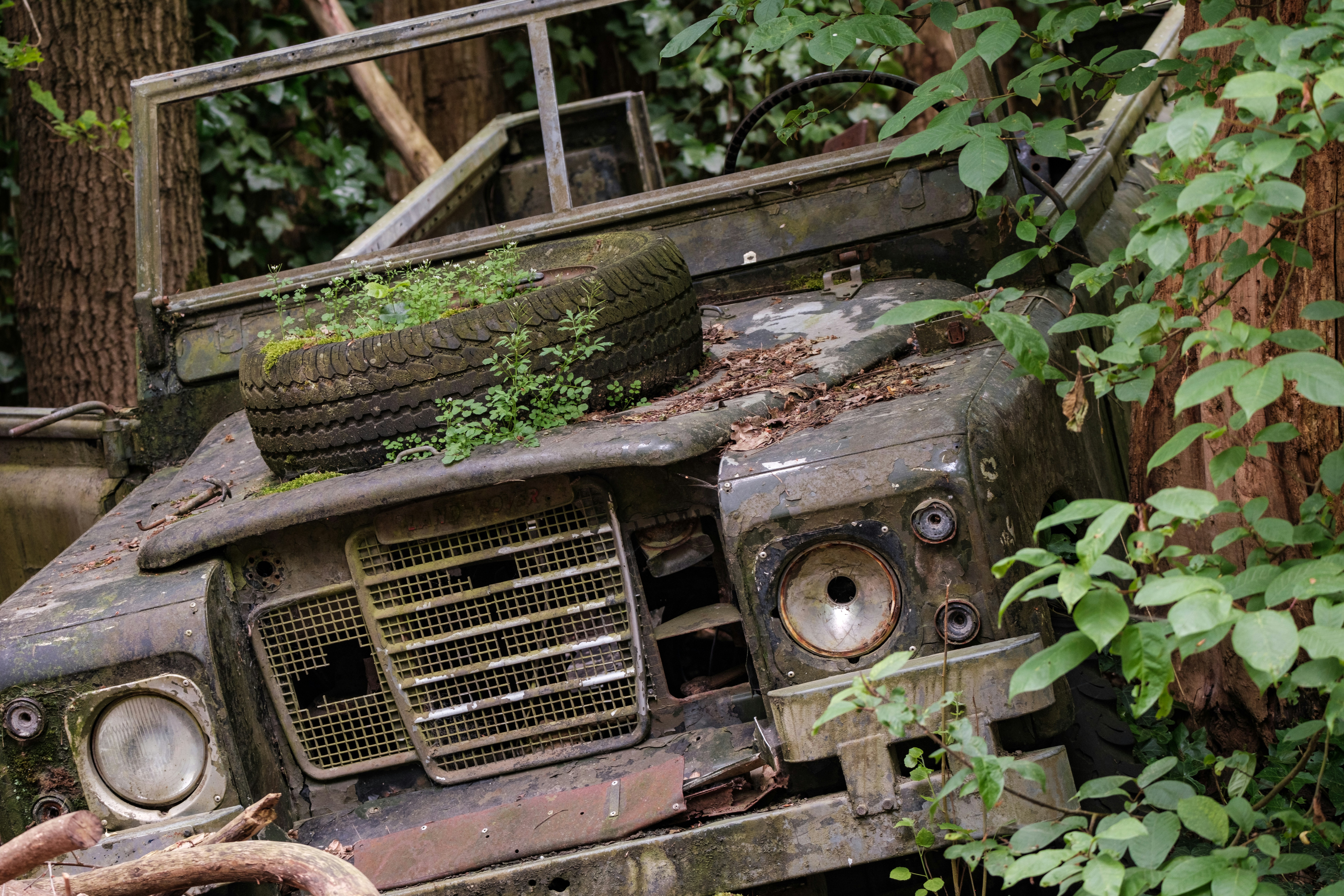 Forest-Worn Relic: a rusted Jeep reclaimed by ivy