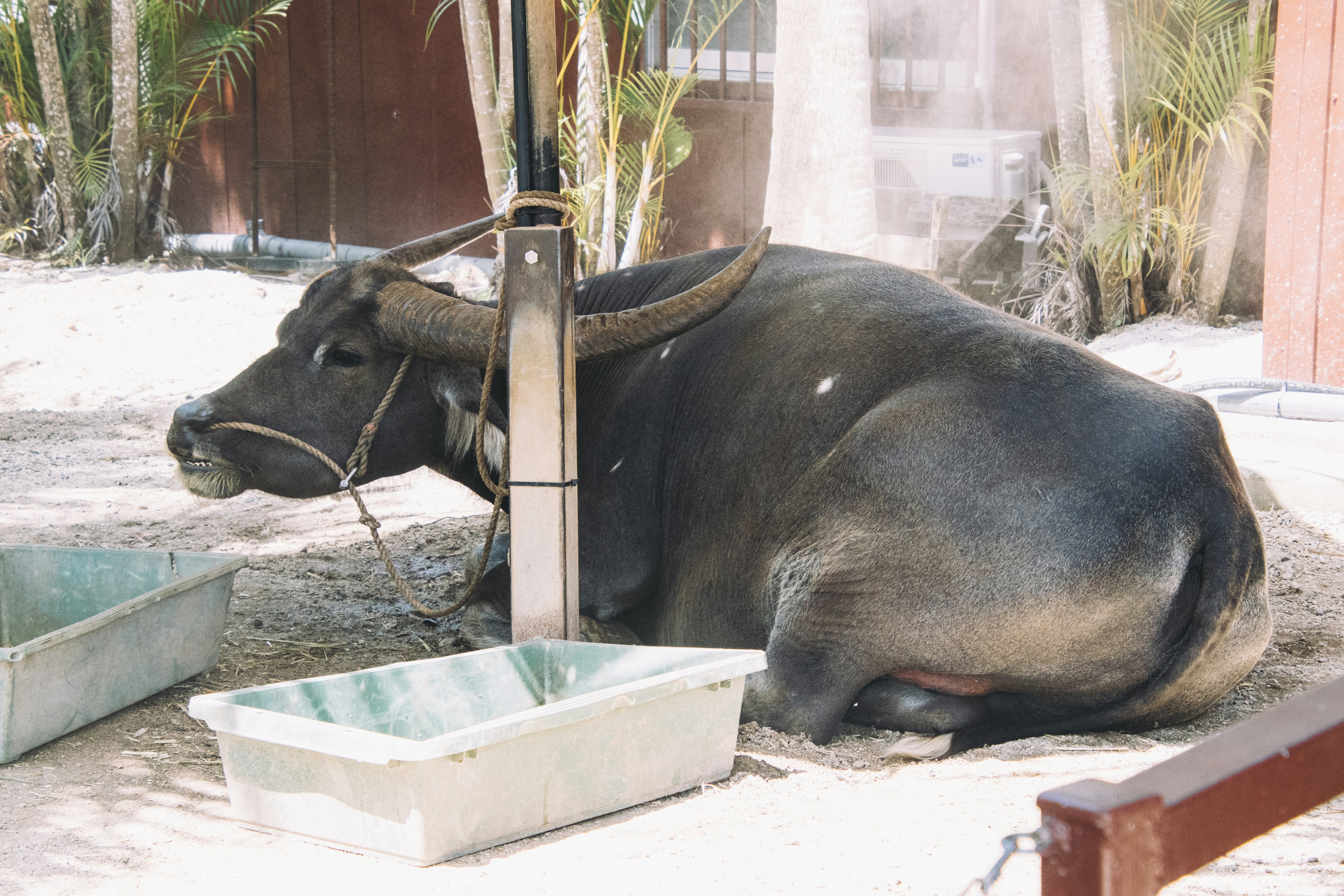 Bokep Fahmi Dan Resti Pictures | Download Free Images on Unsplash