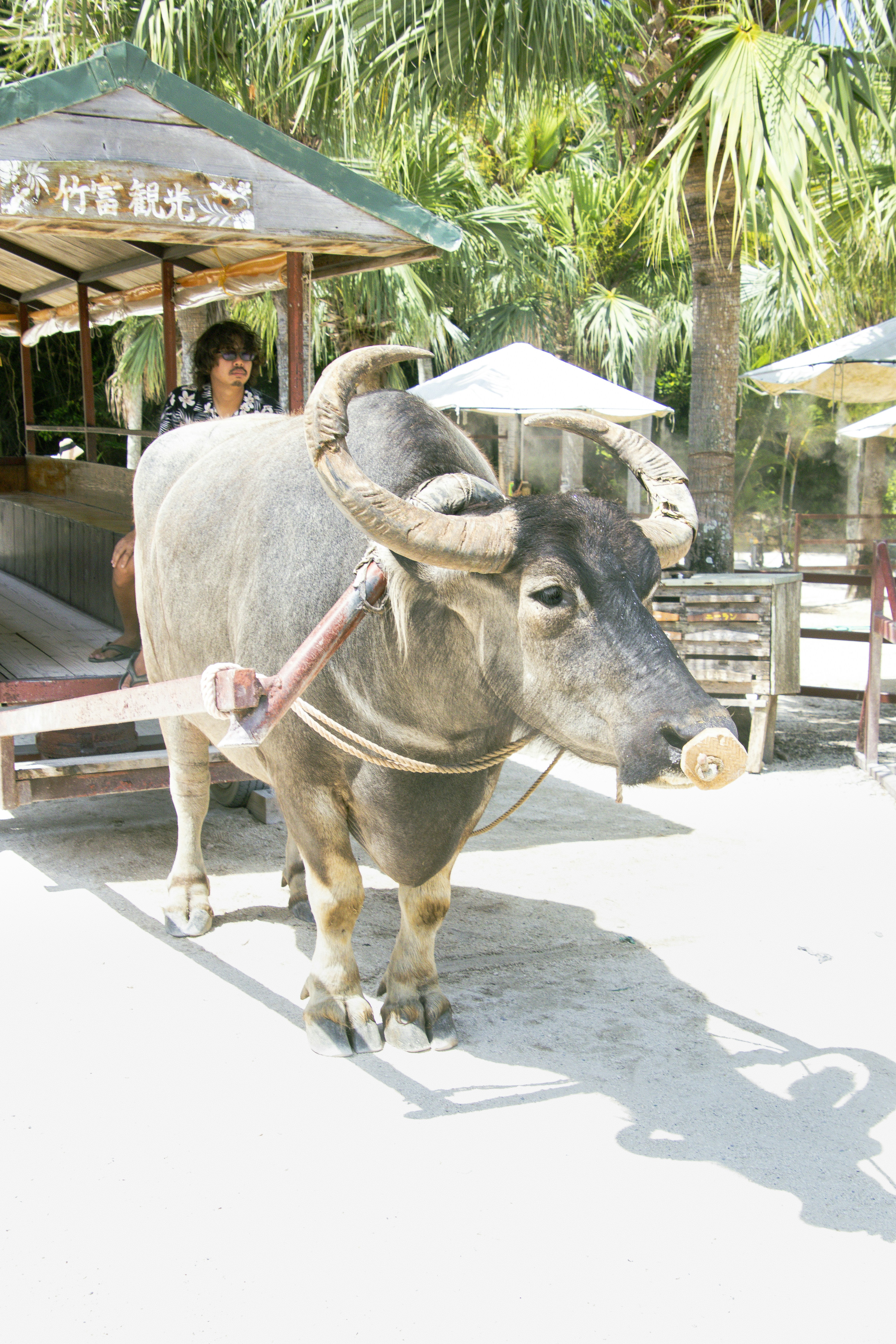 Photo by SLNC with Canon EOS 77D