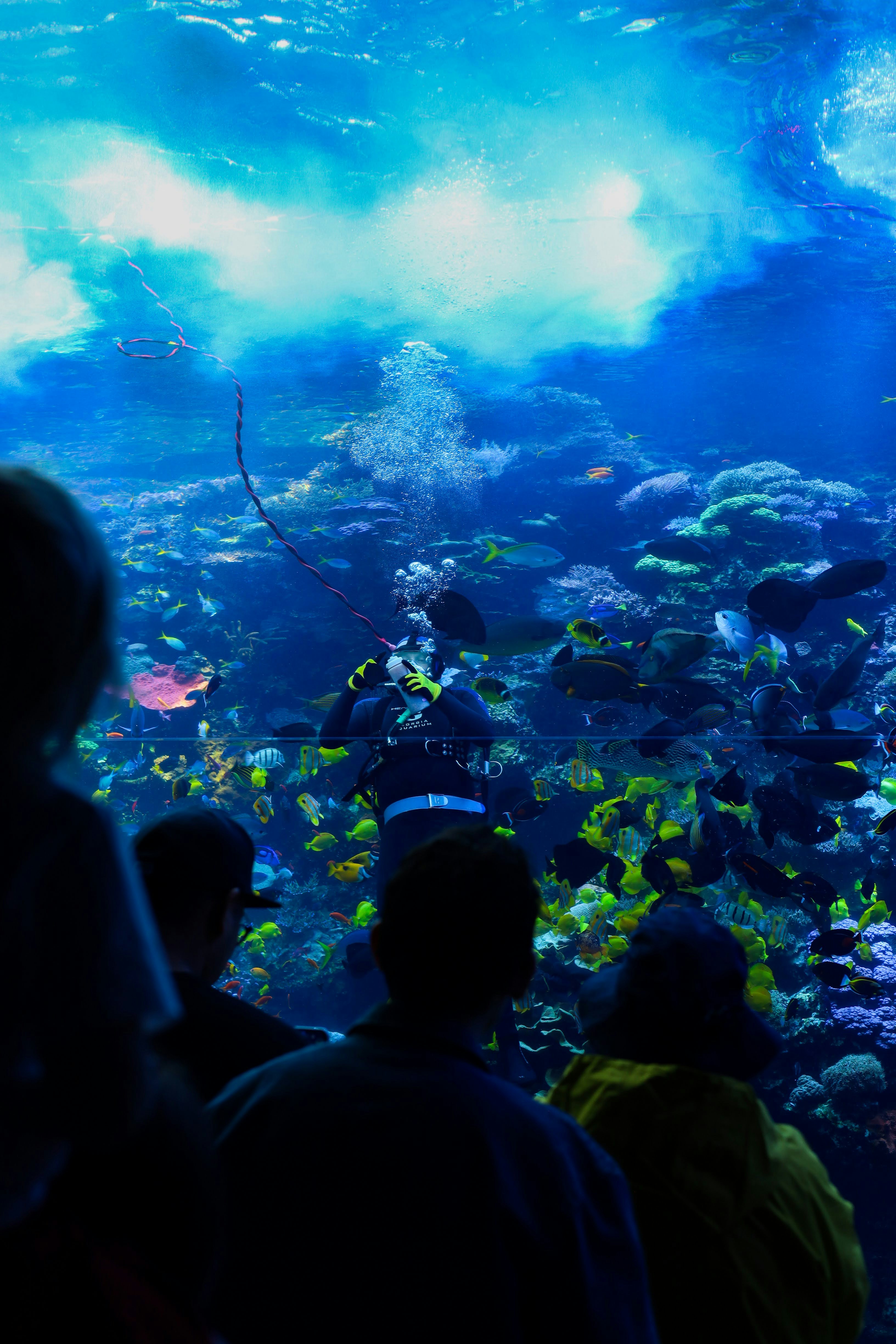 Photo by Brandon Griggs with Canon EOS RP