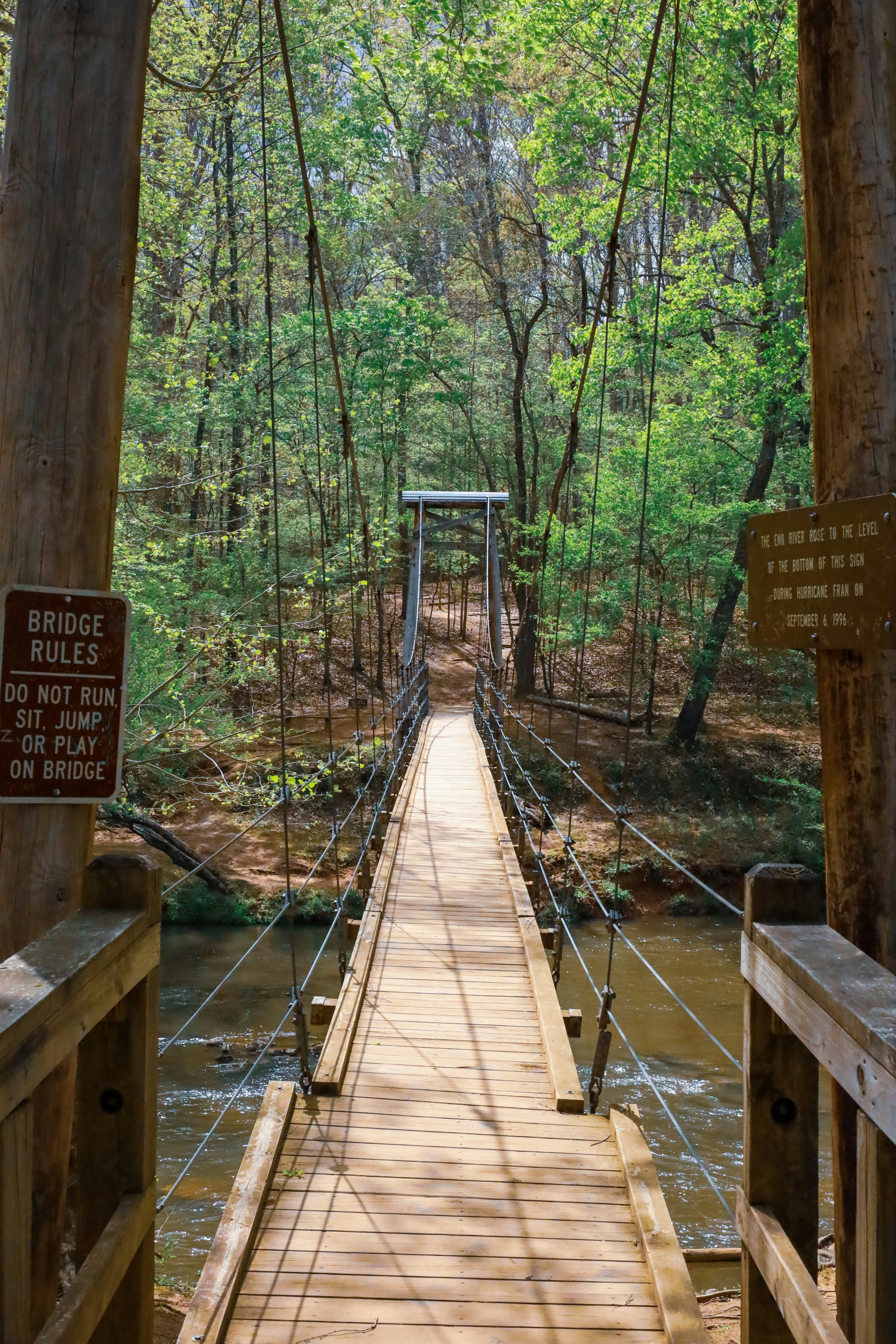 A wooden suspension bridge over a river in the woods photo – Free Usa ...