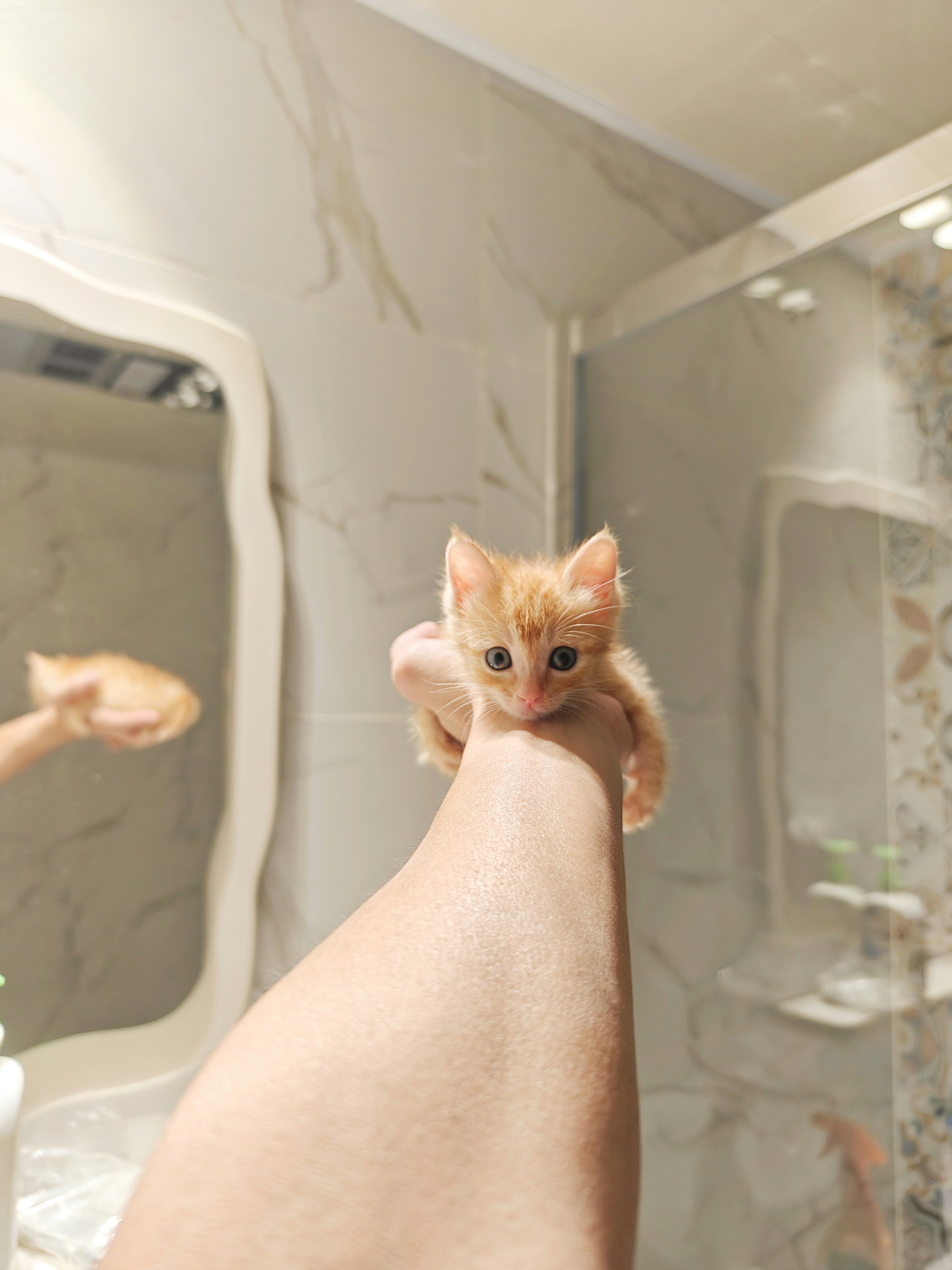 Sample photo from Oppo Find X7 Ultra