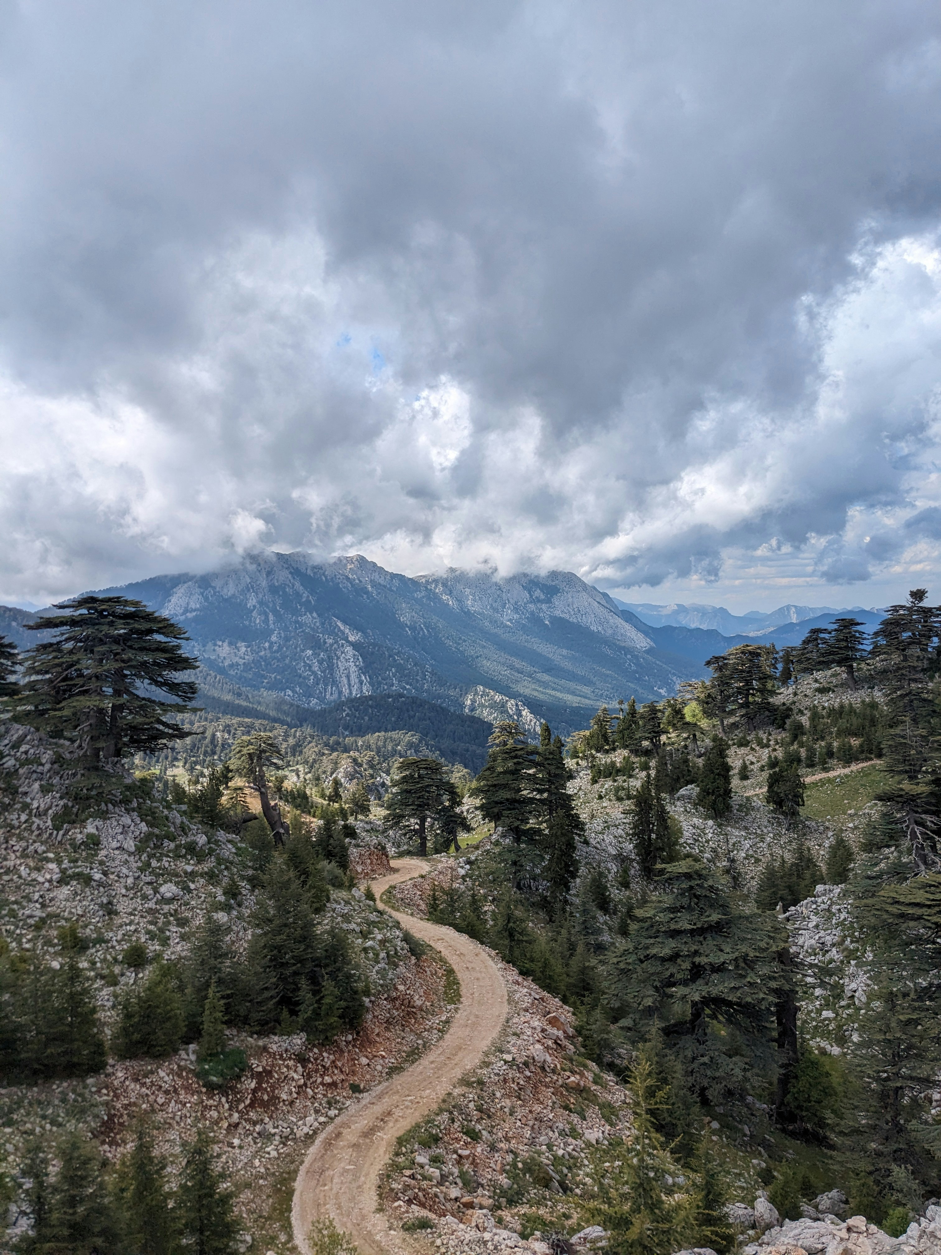 Photo by Allen Milligun with Google Pixel 5a