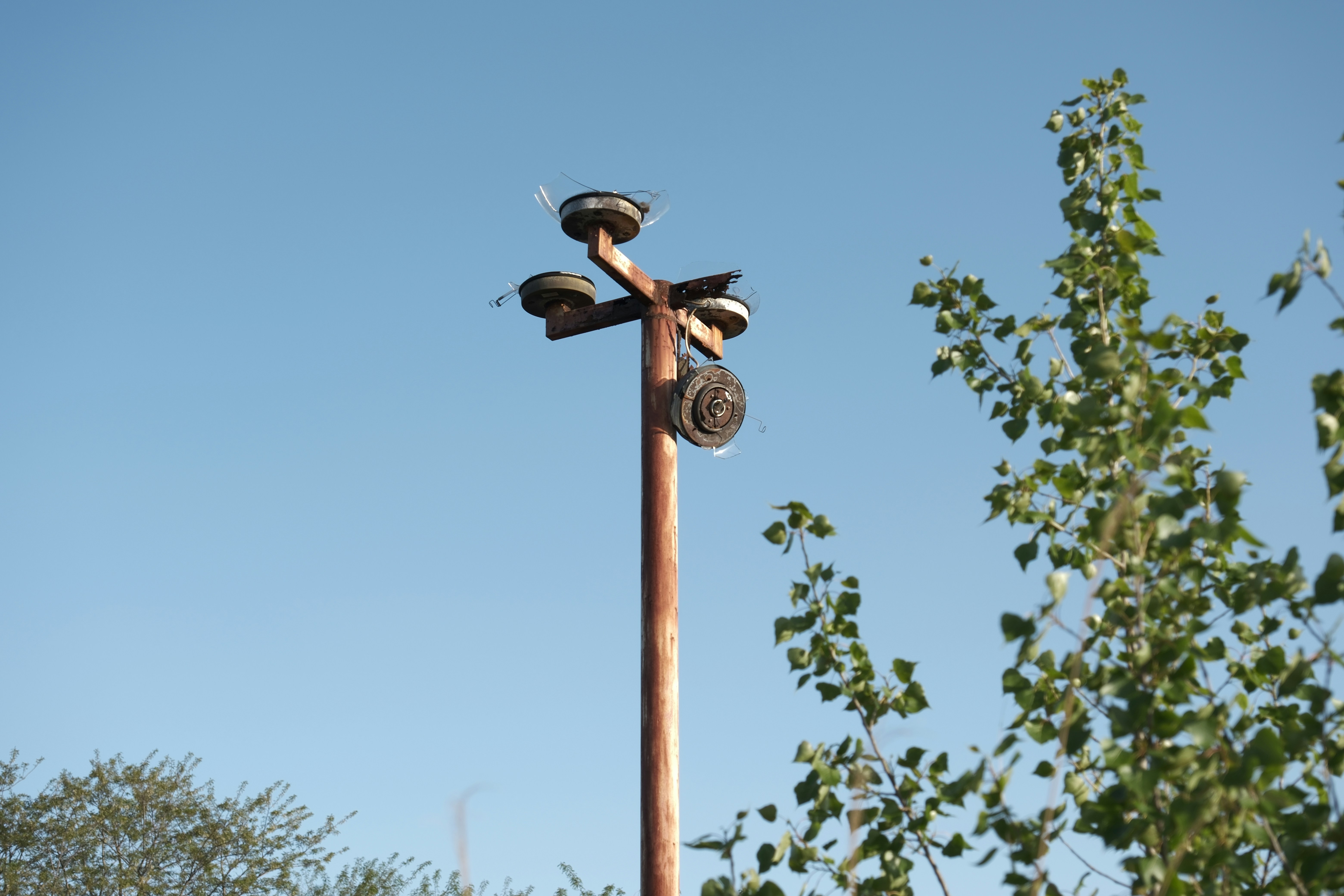 Birds Perch on a Weathered Utility Pole Under a Vast Blue Sky