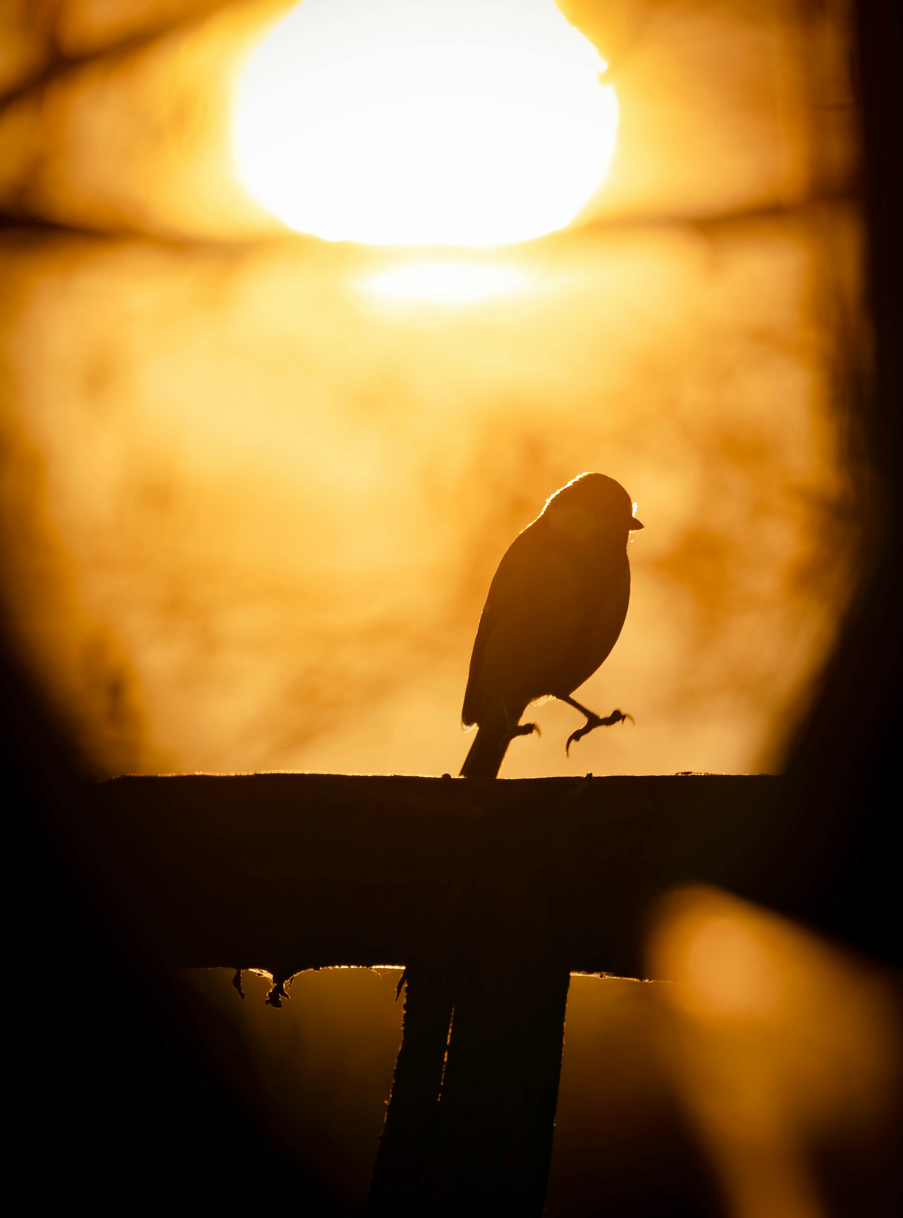 Photo by Hansjörg Rath with Sony Alpha 7 III