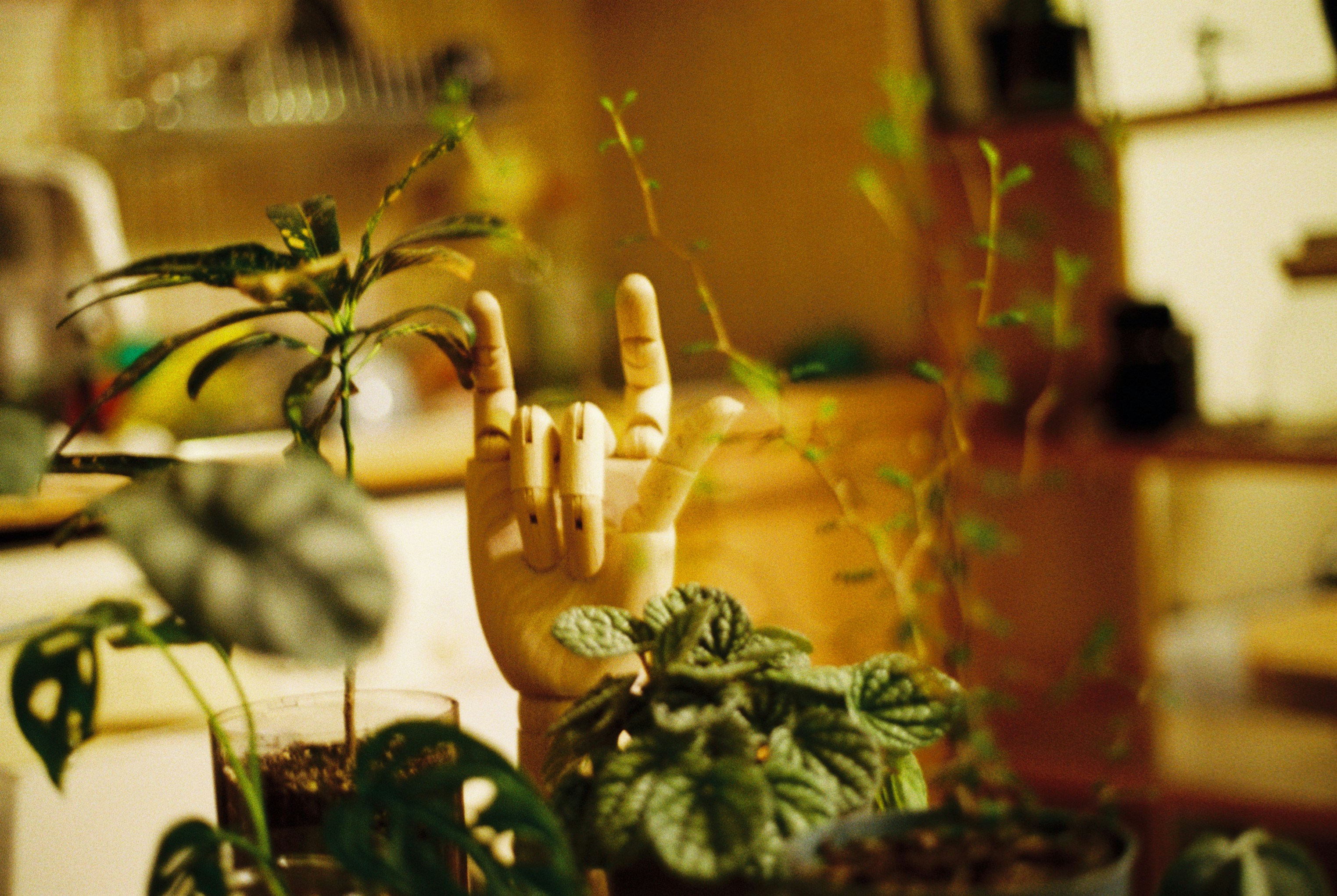 Plant-filled still life with a hand gesture emerging from the foliage