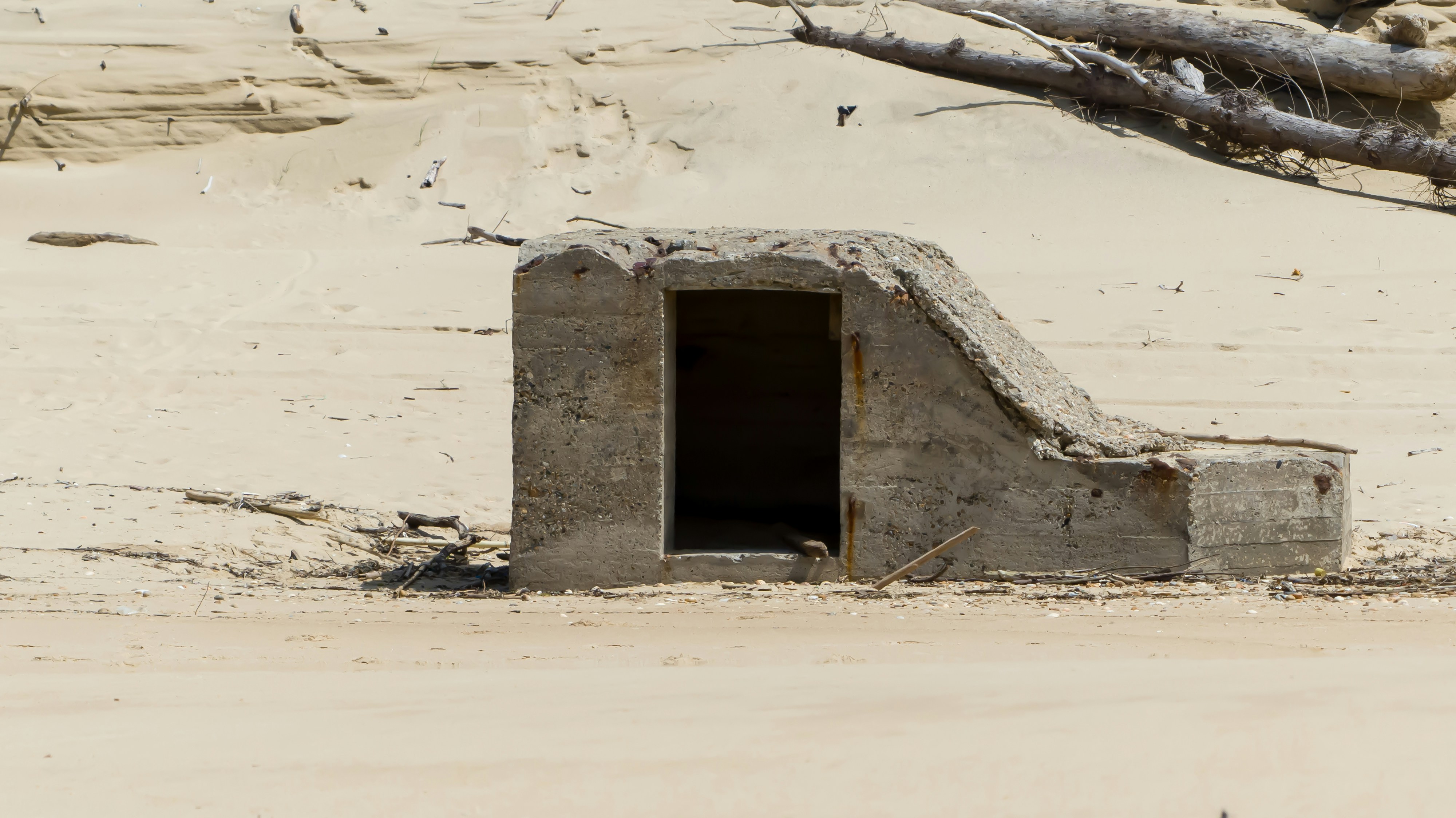 Concrete Shelter on a Bleached Beach: A Quiet Relic Emerges from Sand