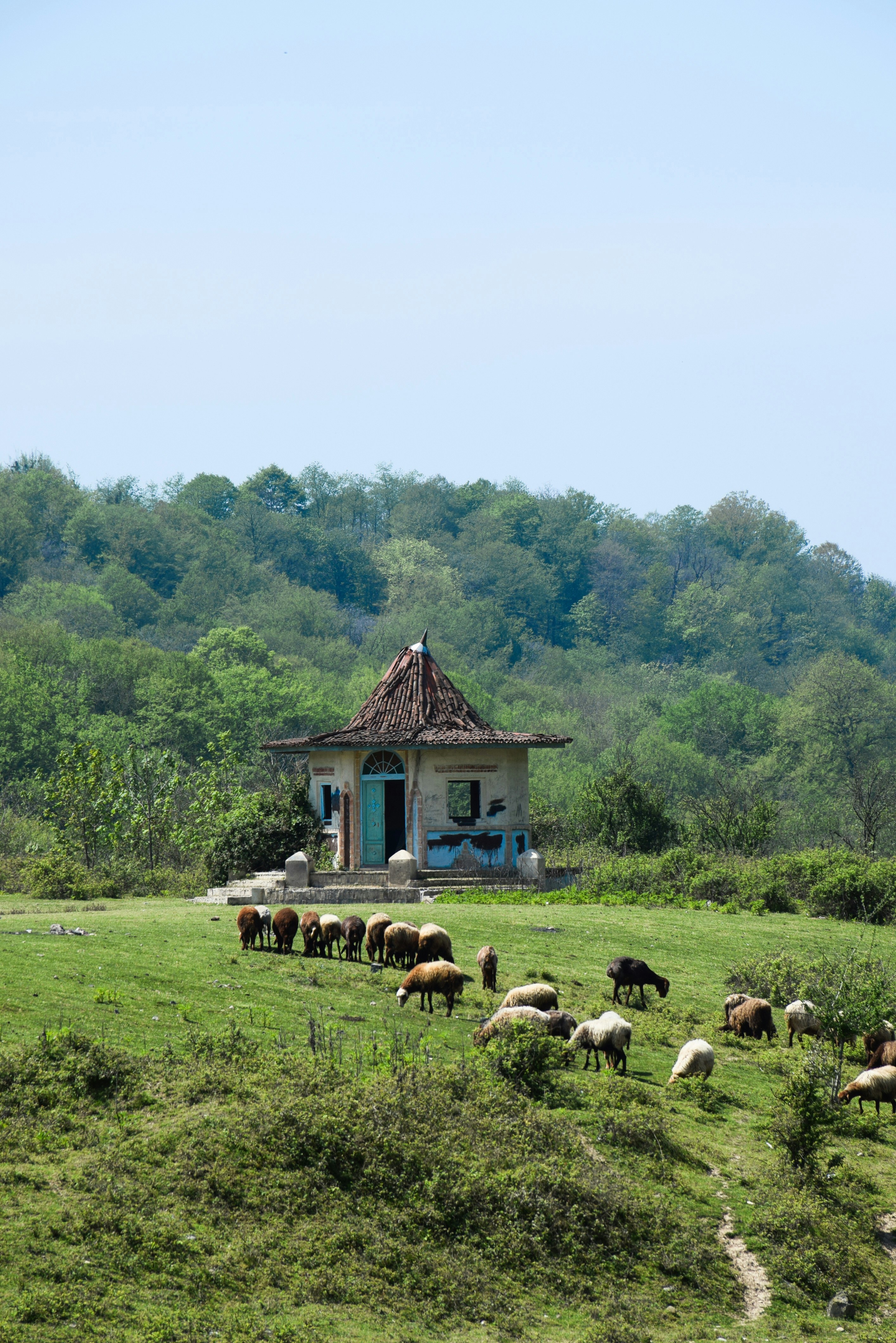 Photo by mahta parsafar with Nikon D5300