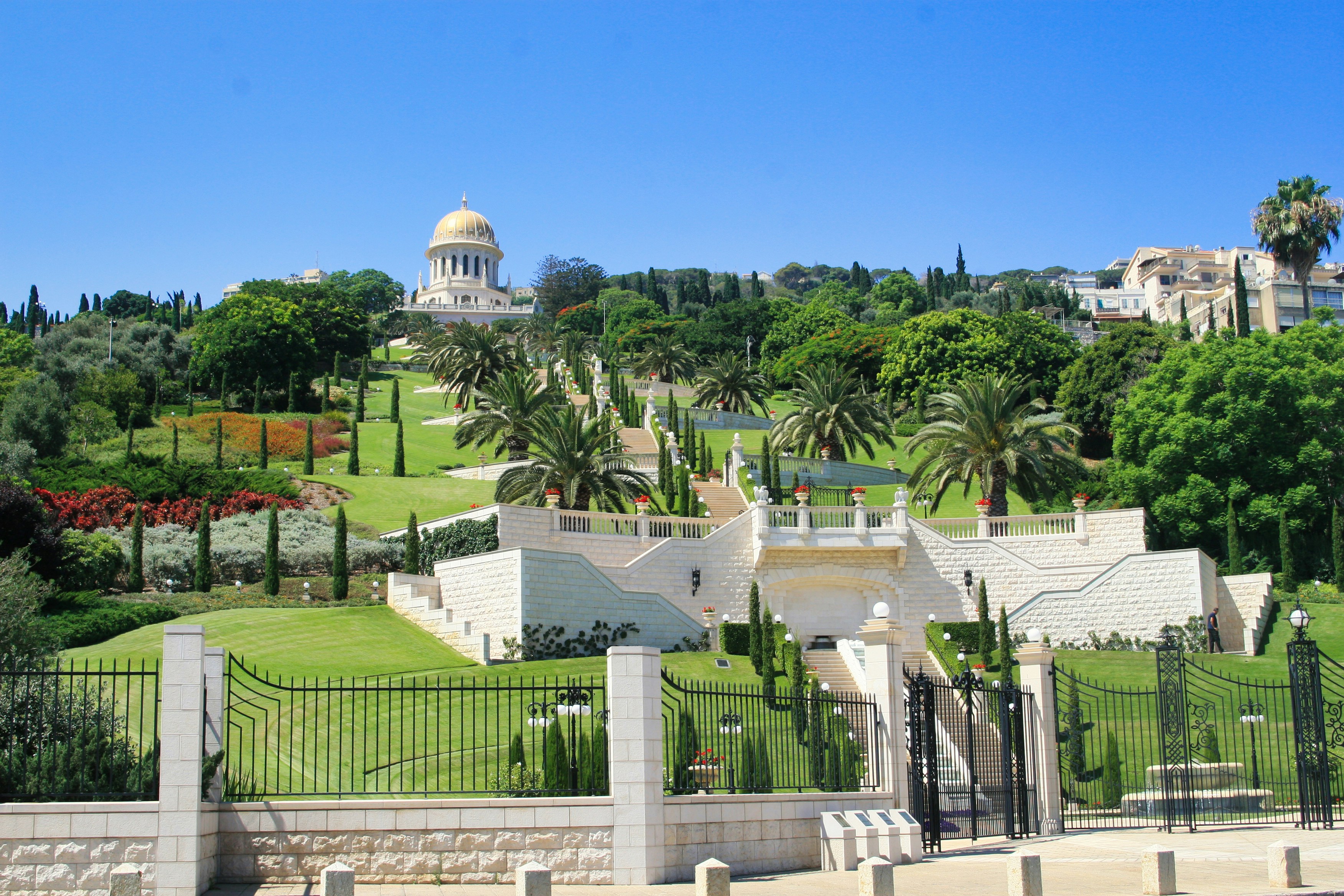 A view of a park with trees and a building in the background photo ...