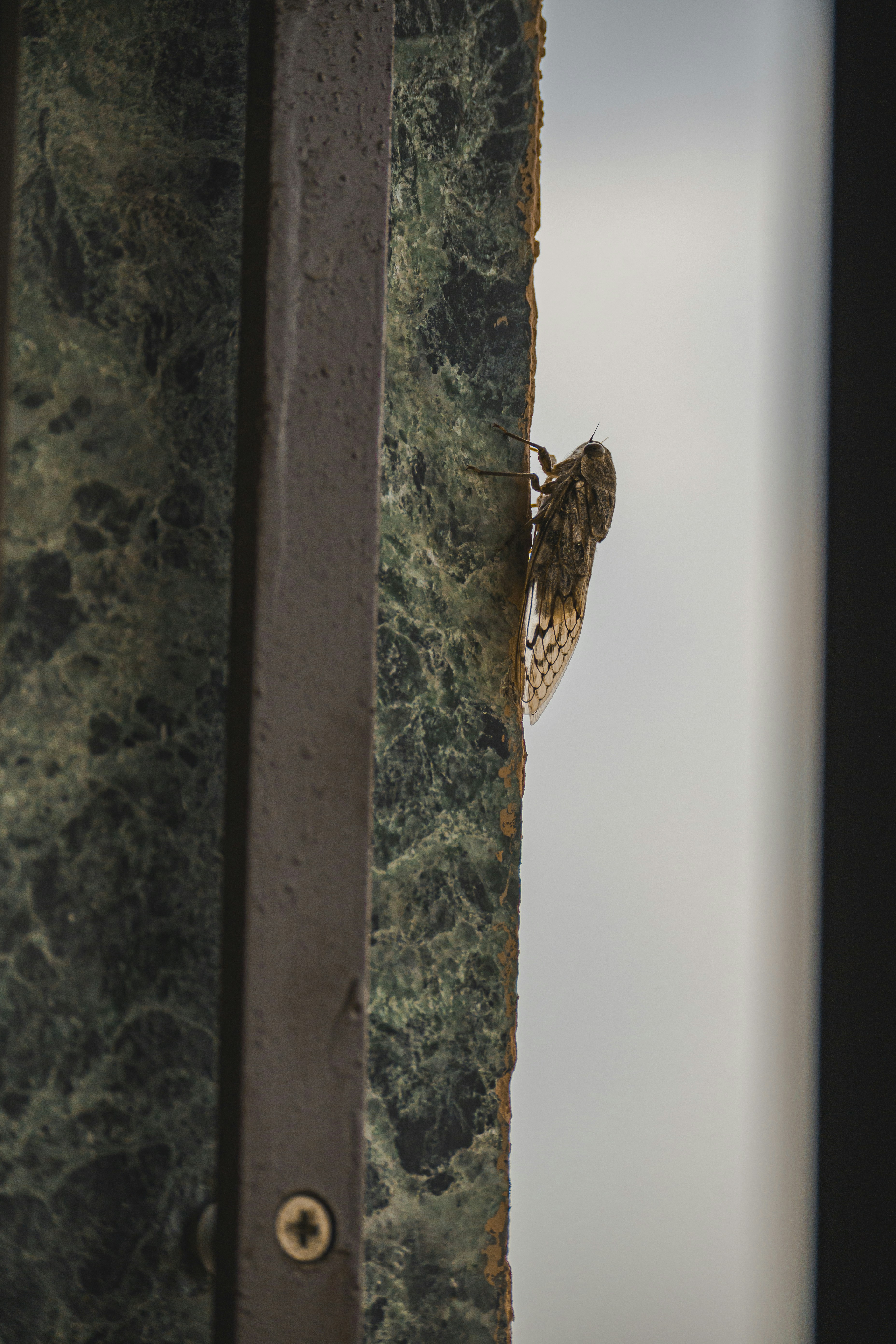 Photo by Garv Chaplot with Nikon Z50