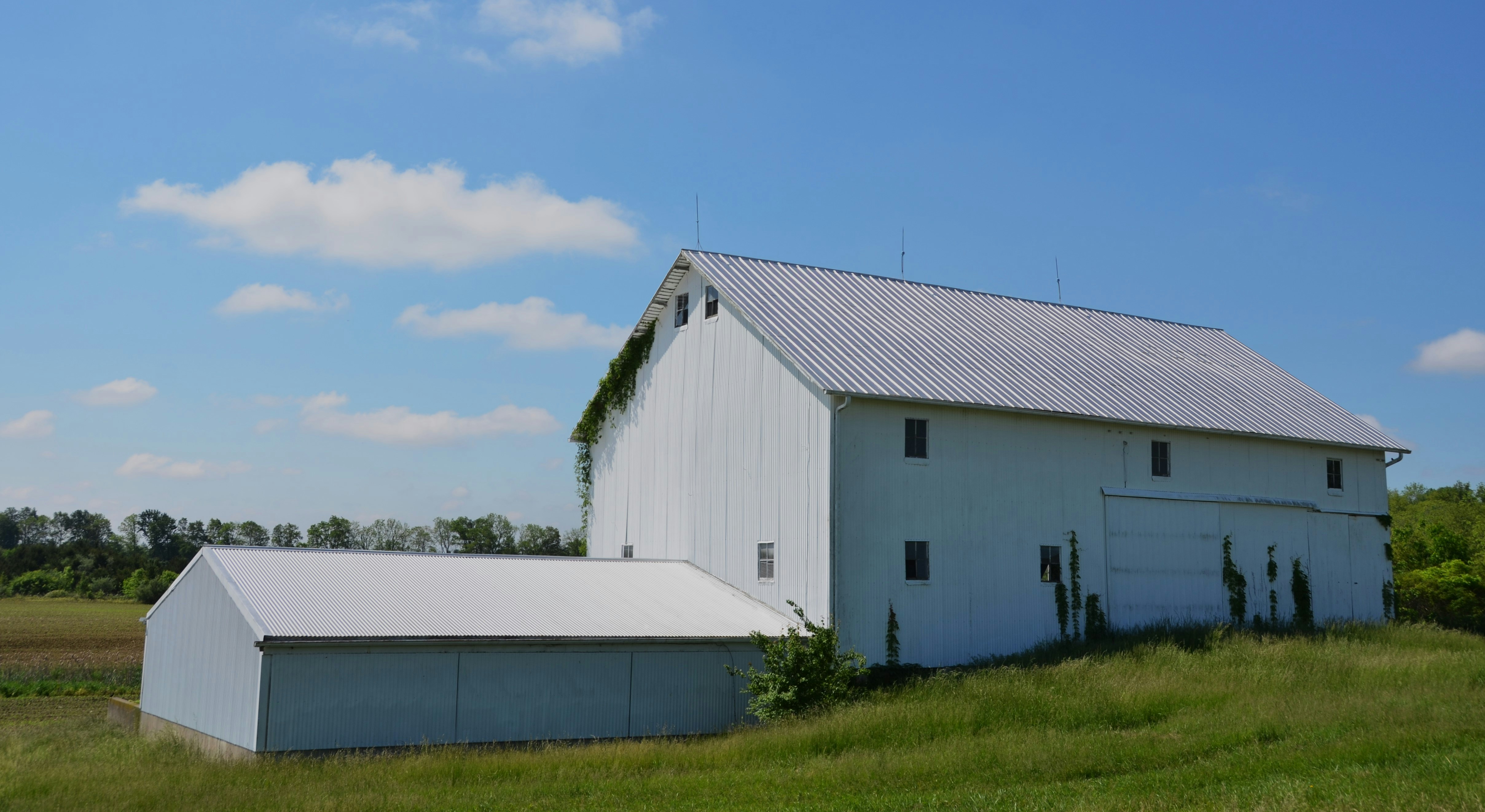 A large white barn sitting on top of a lush green field photo – Free ...