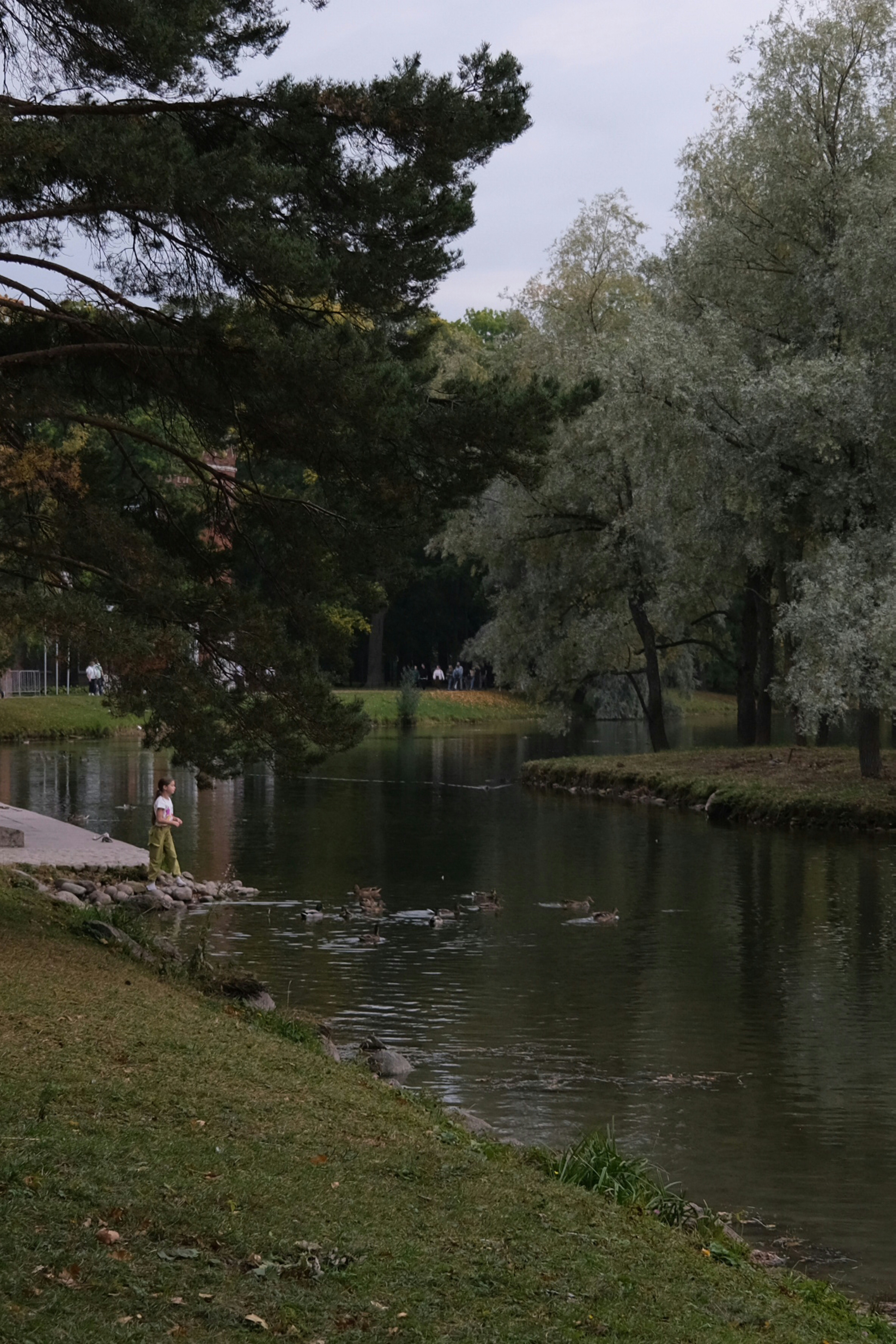 The Angler's Corner: Quiet Ripples along the Park Pond
