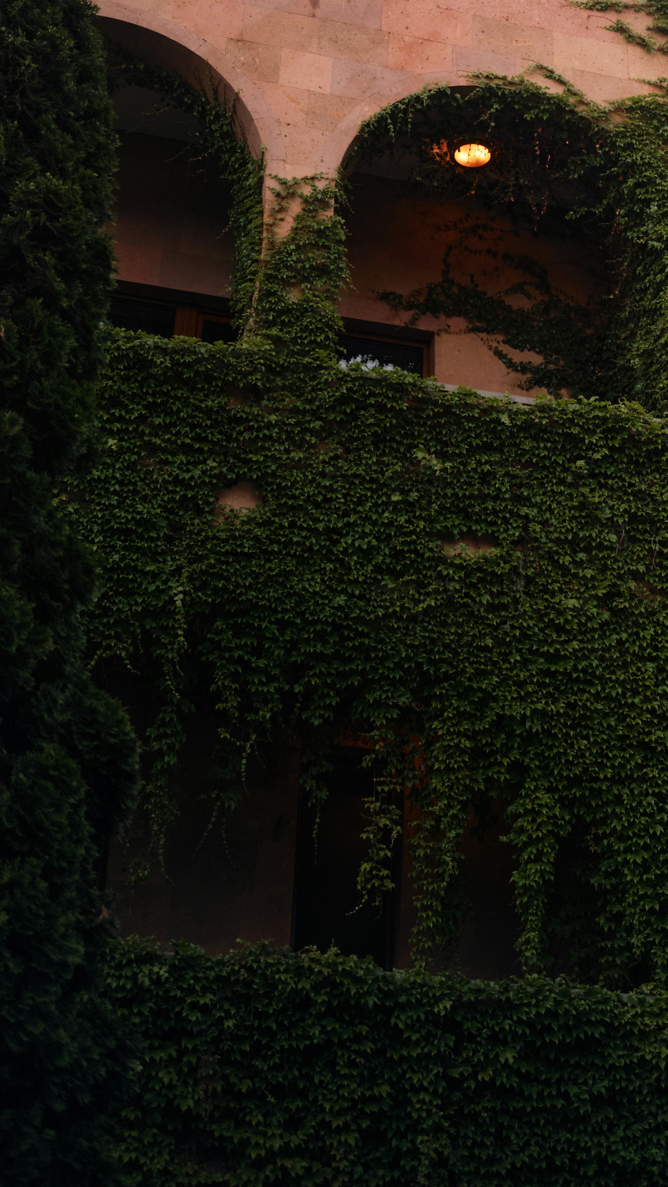 A building covered in vines with a clock on it photo – Free Building ...