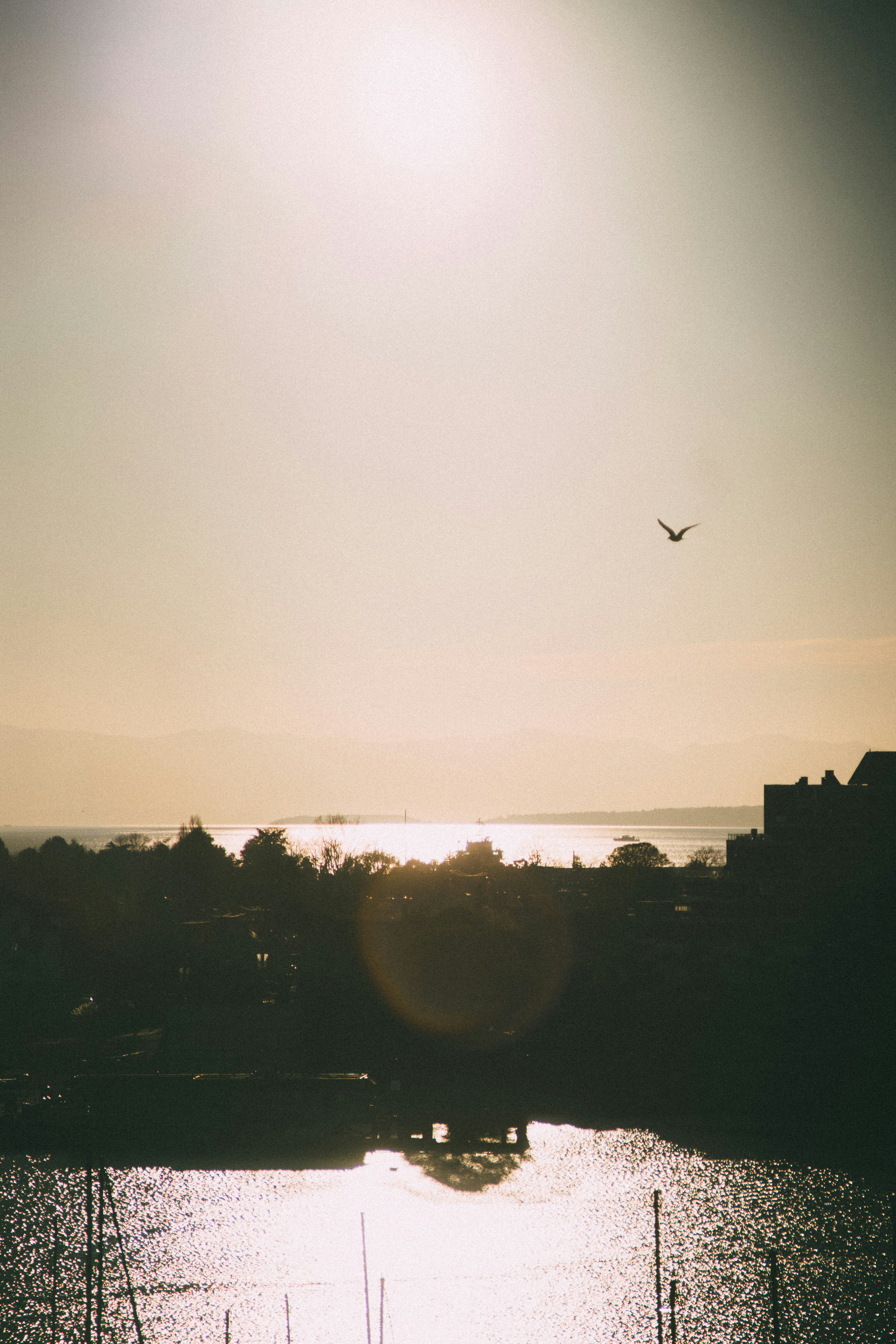 Photo by Conrad Stel with Sony Alpha 7 III