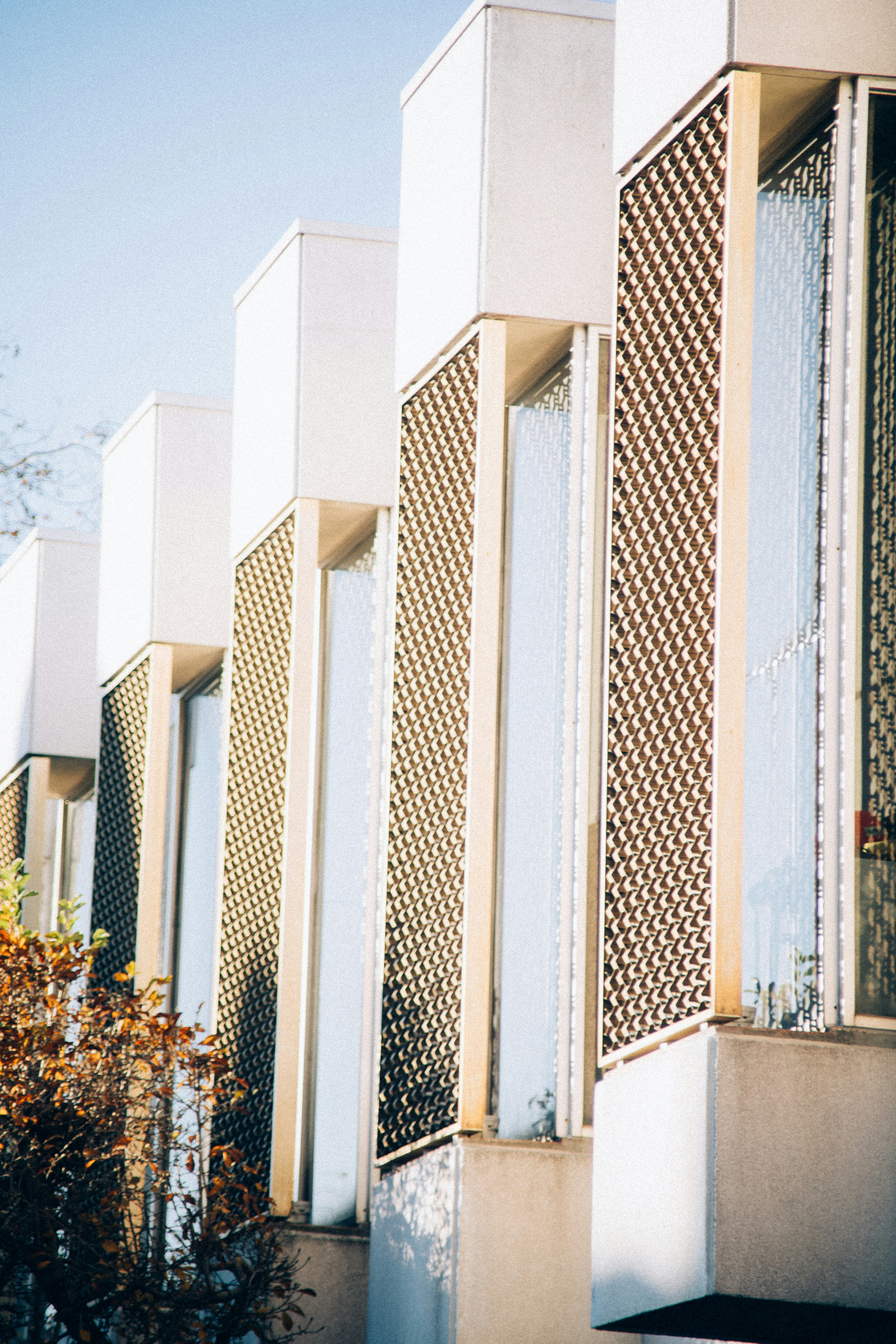 Rhythmic Lattice Bays: Sunlit Modernist Facade