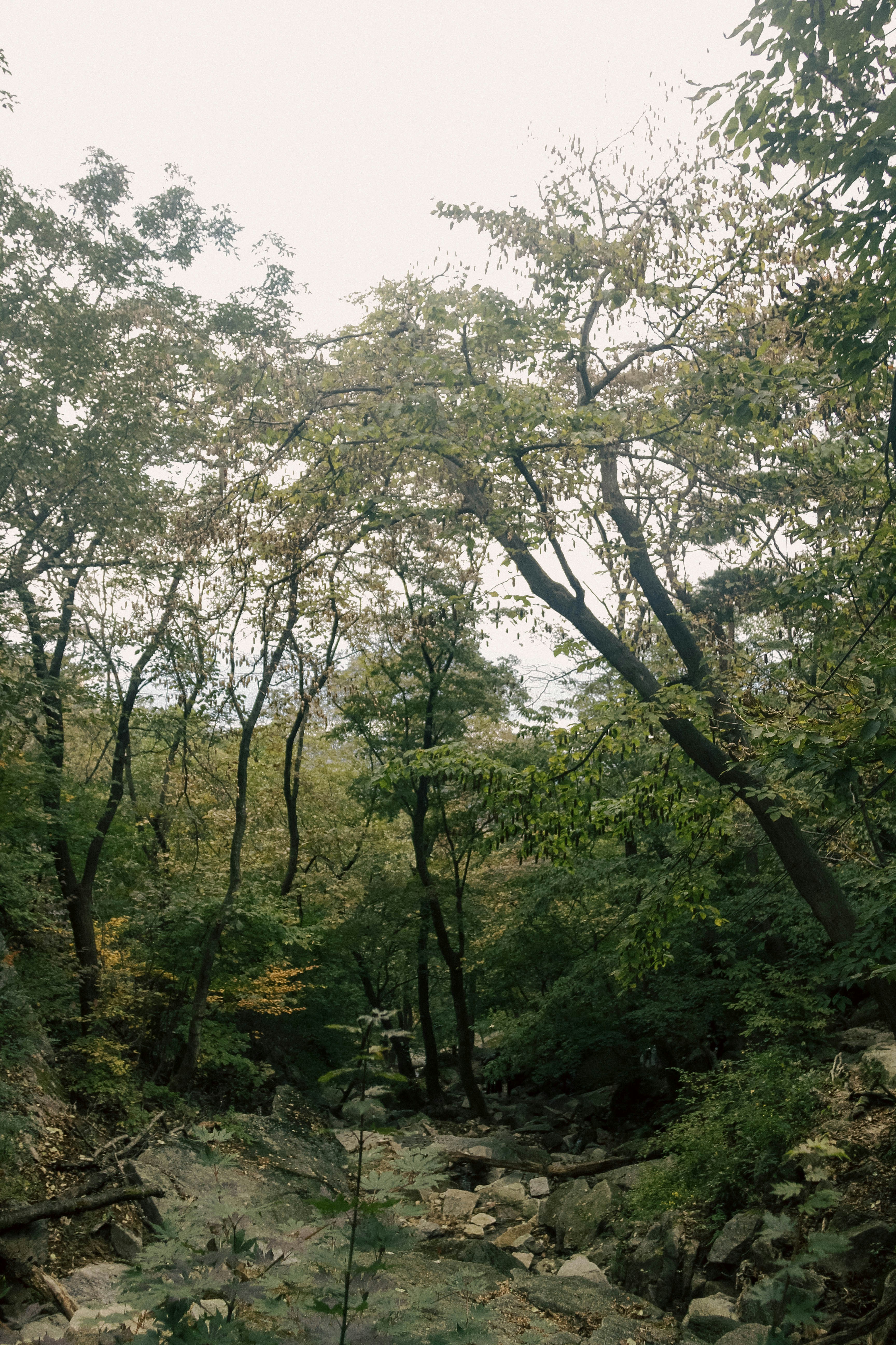 Photo by Degleex Ganzorig with Canon EOS 7D