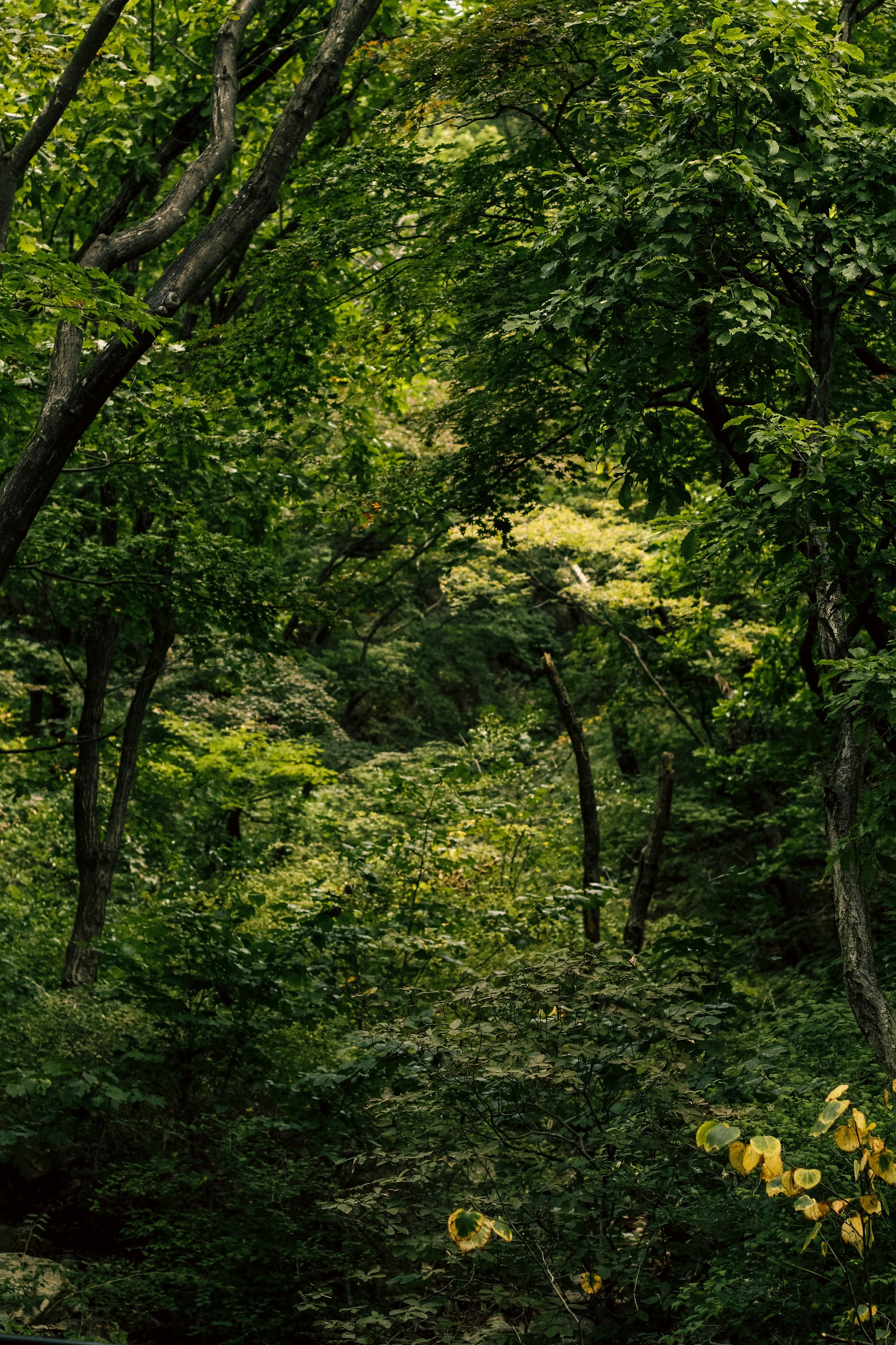 Photo by Degleex Ganzorig with Canon EOS 7D