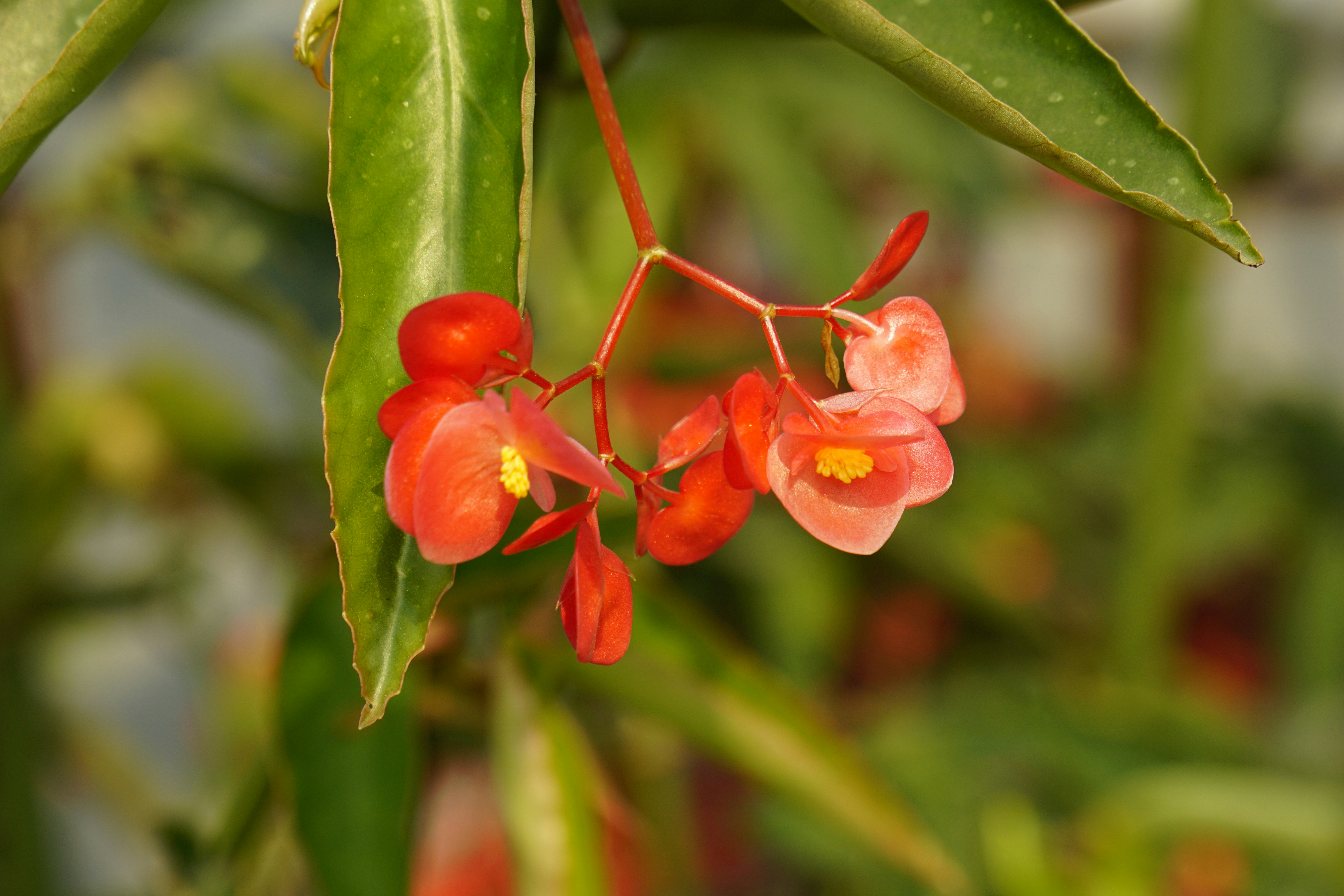 Photo by Duy Le Duc with Sony Alpha 6000