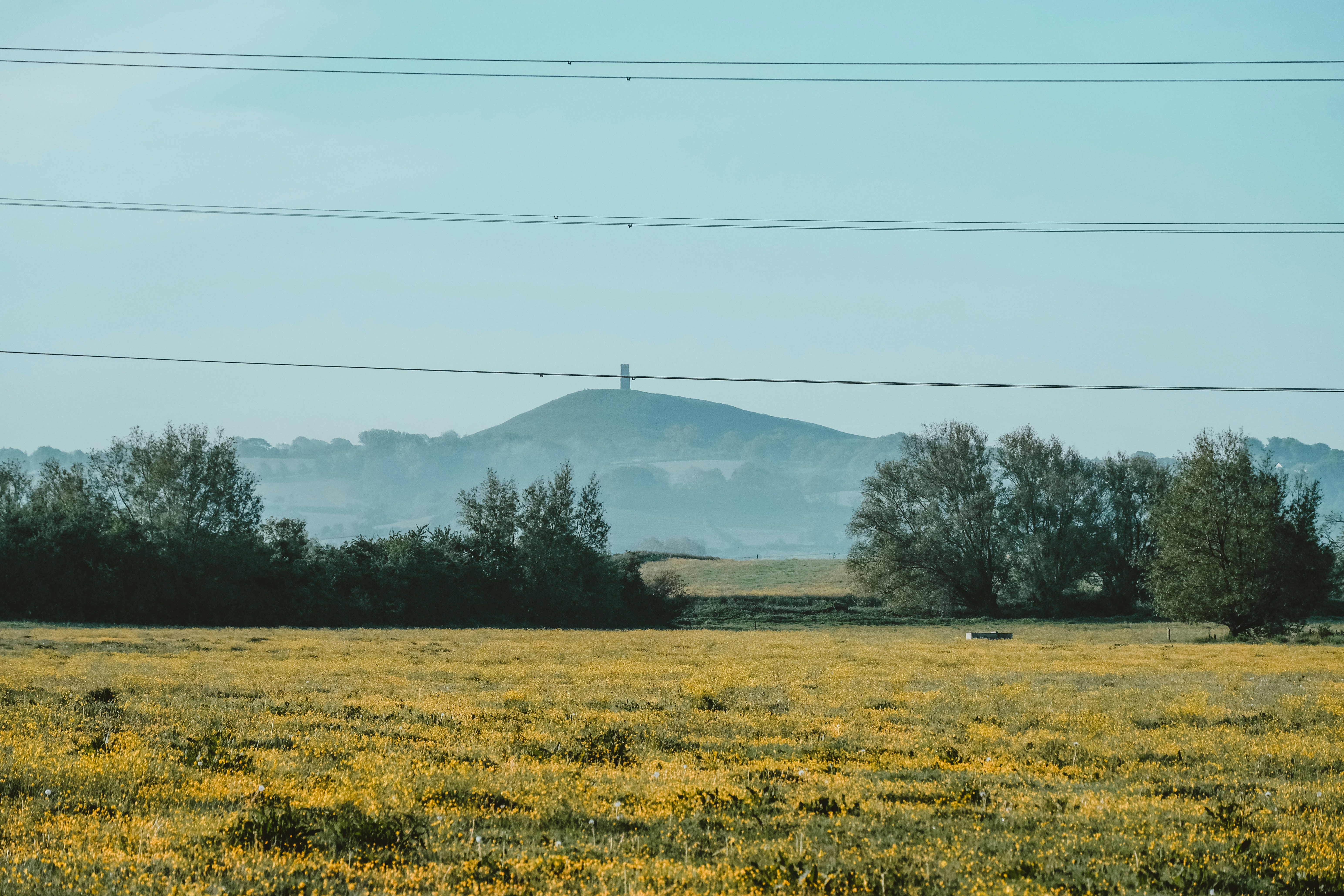 Hilltop Tower Rising Above a Field of Gold
