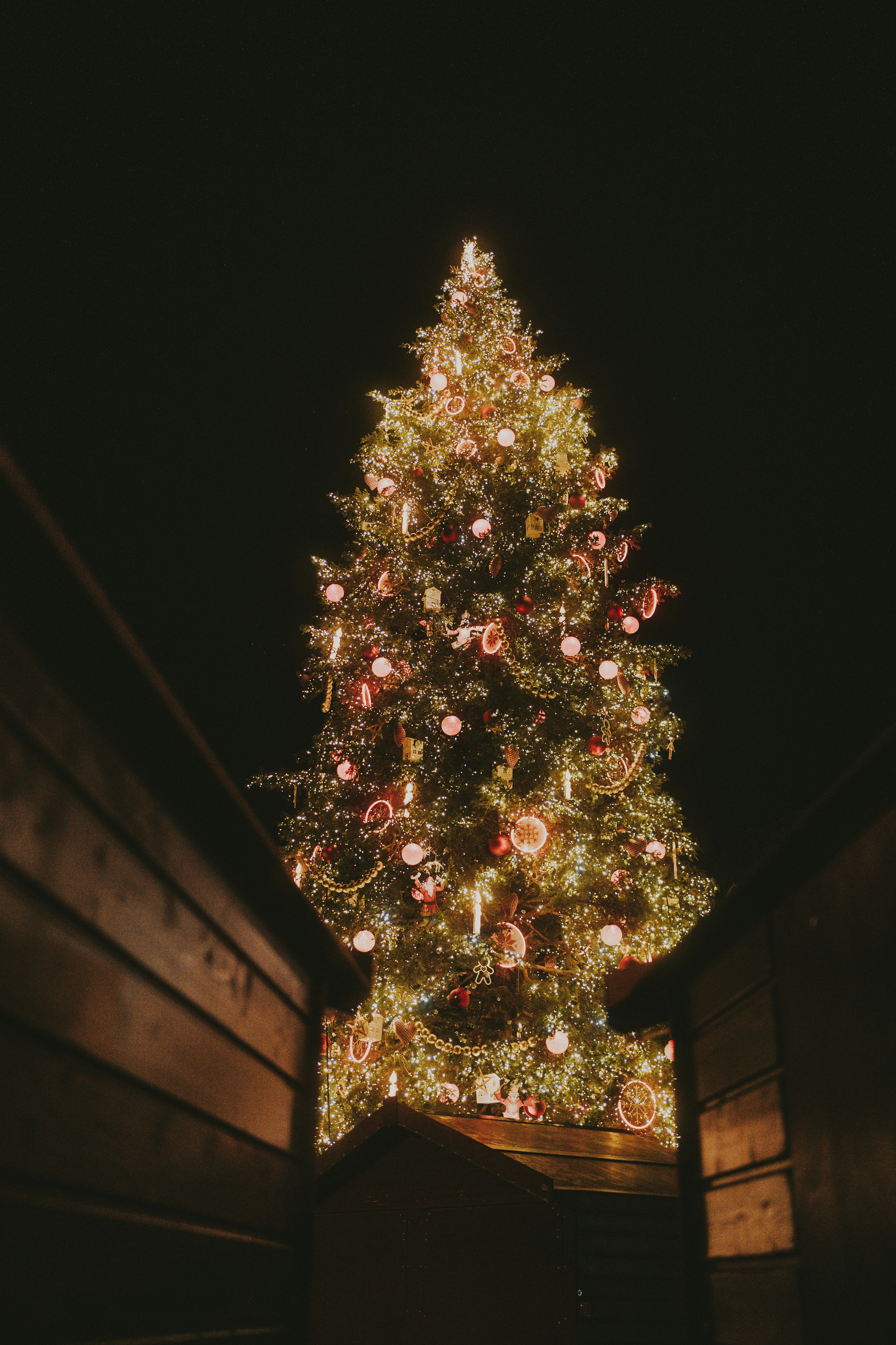 Tall Christmas tree glowing with warm string lights and red ornaments stands in a narrow alley at night, casting festive illumination.