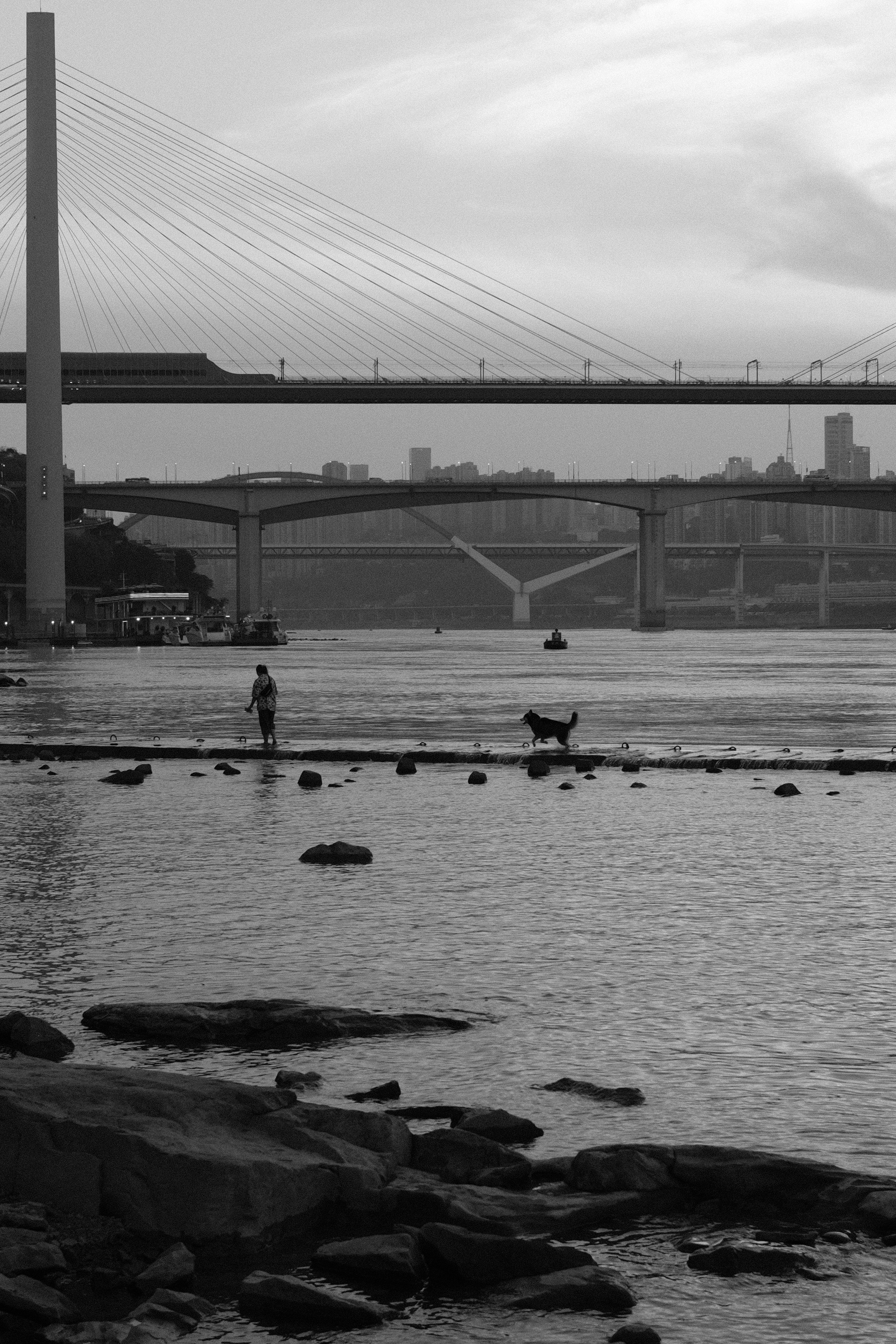 Riverbank Silhouette Under Twin Bridges: A lone figure and dog at the water's edge