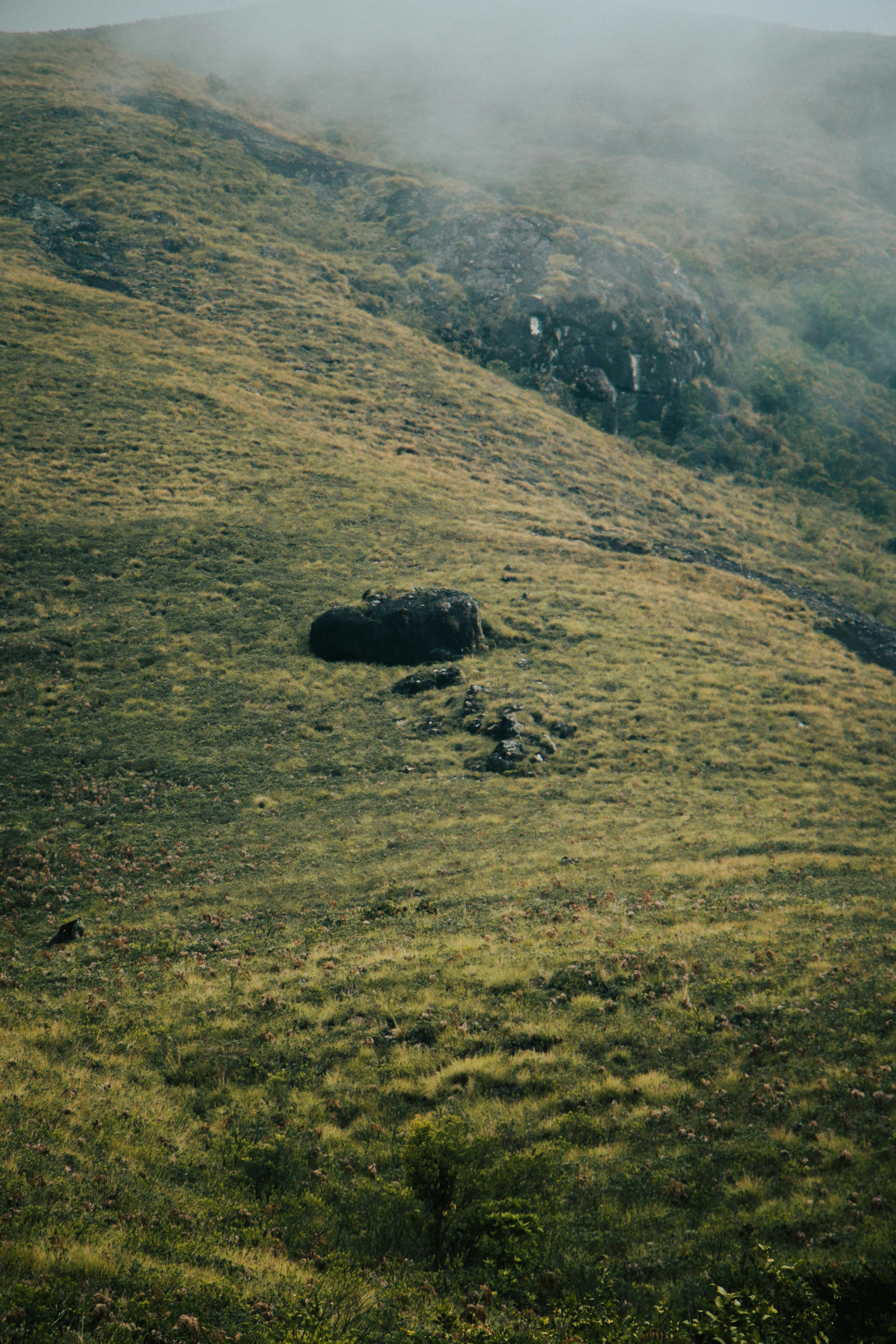 Photo by Rishabh Mathew with Canon EOS 70D