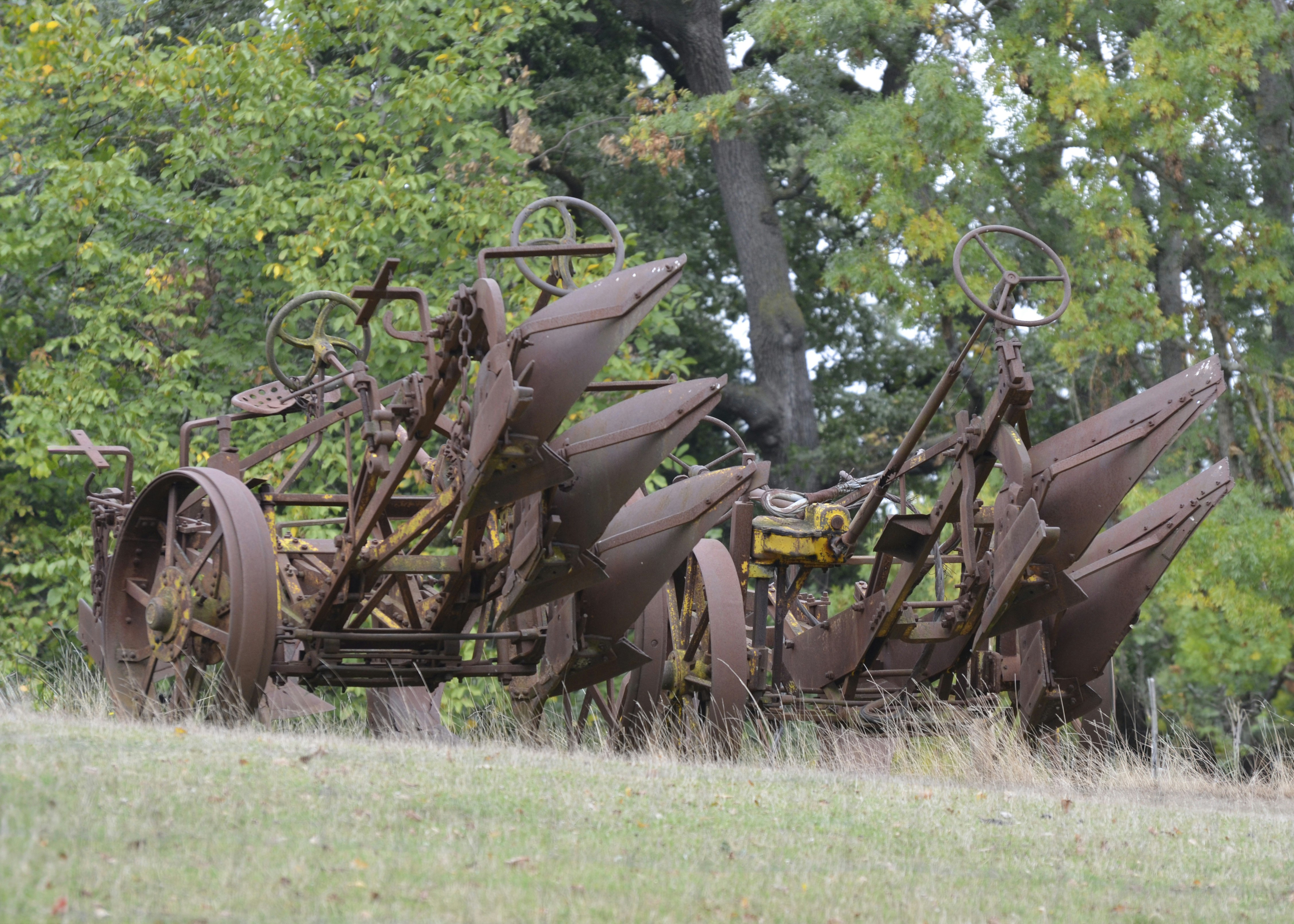 Rustbound Rows: Timeworn Plows Rest Beneath a Quiet Field Canopy