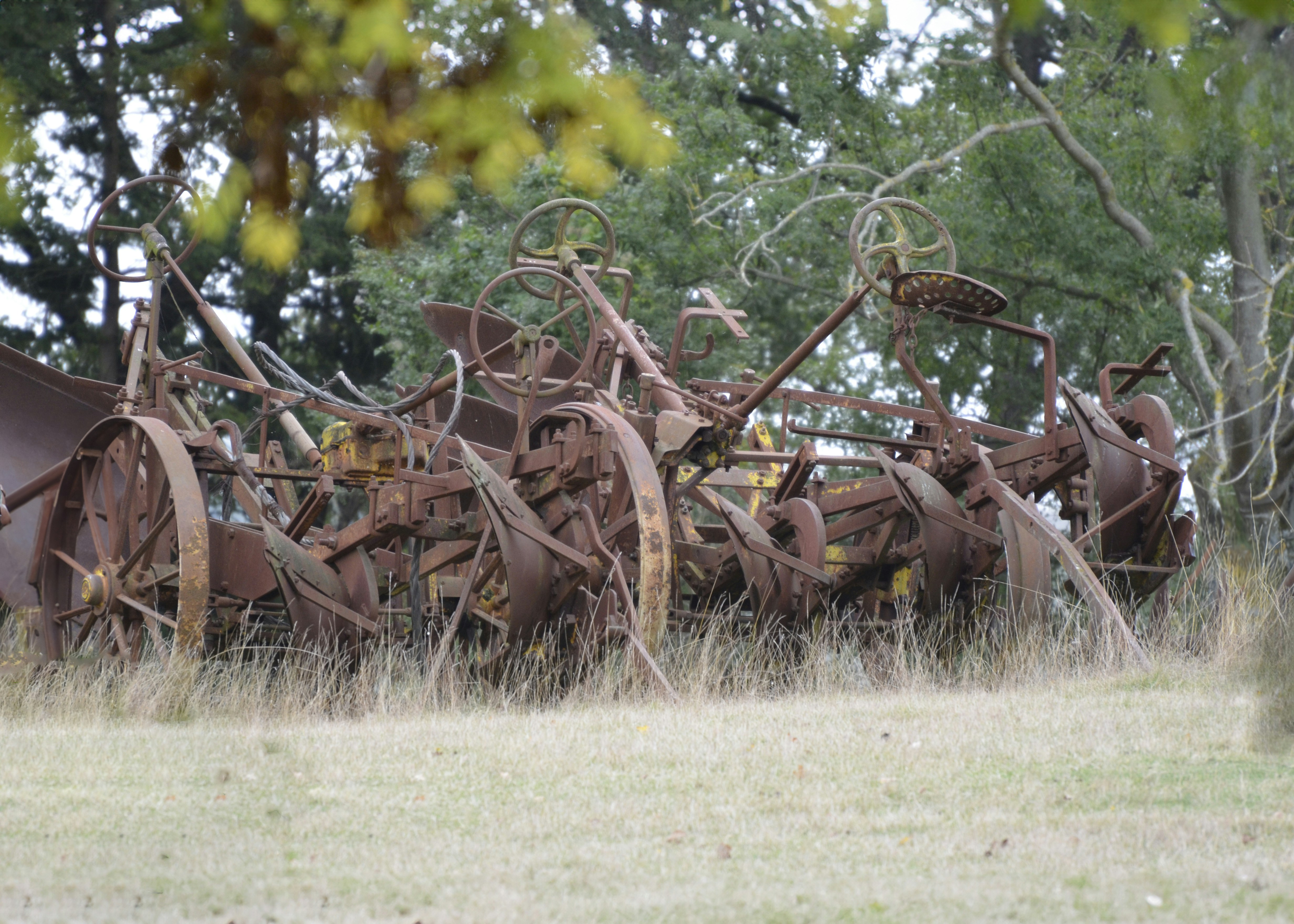 Photo by Michel Meuleman with Nikon D5100