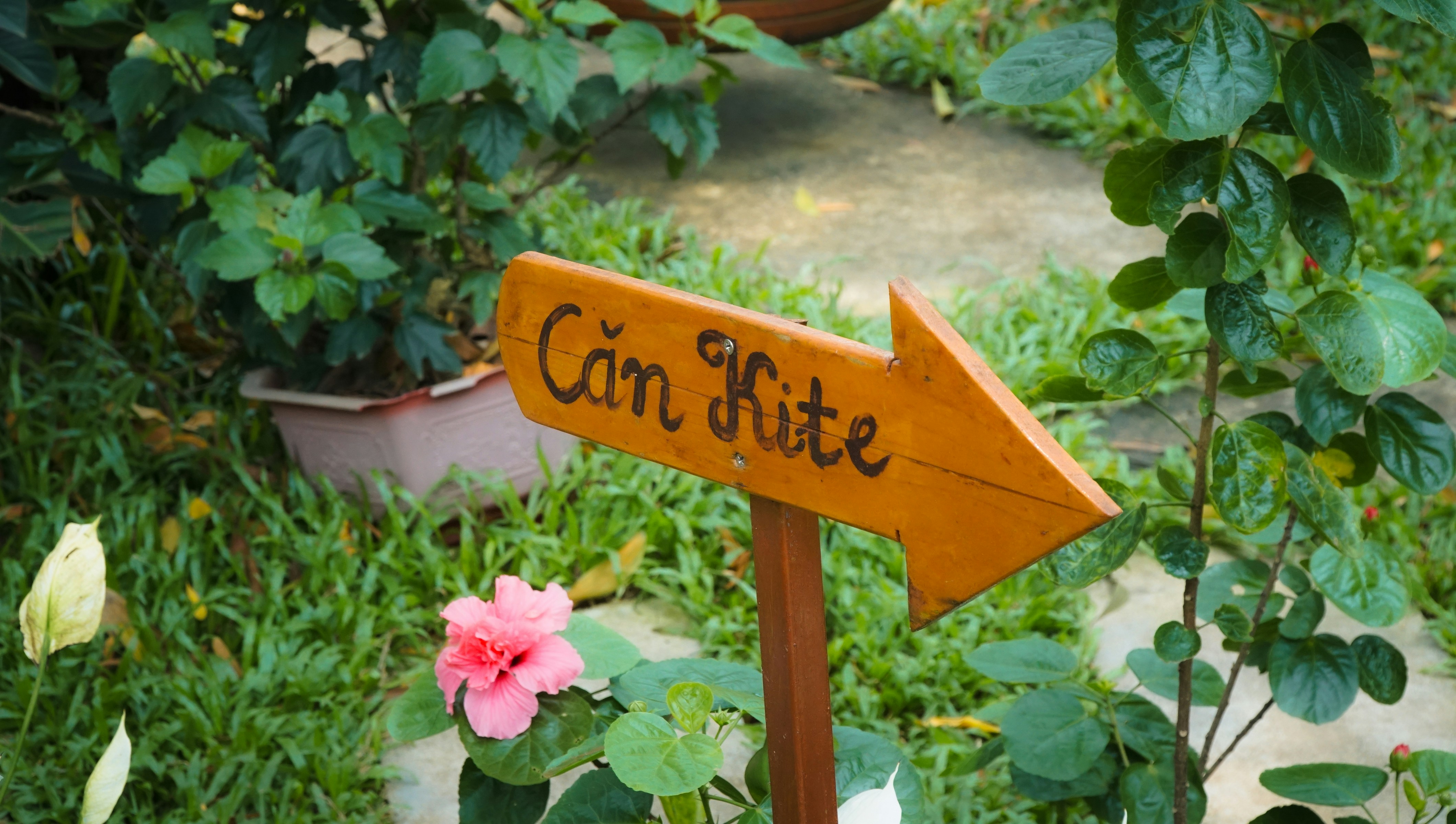 Wooden arrow sign with 'Cắn Kít' in a lush garden setting with pink flowers and green foliage.