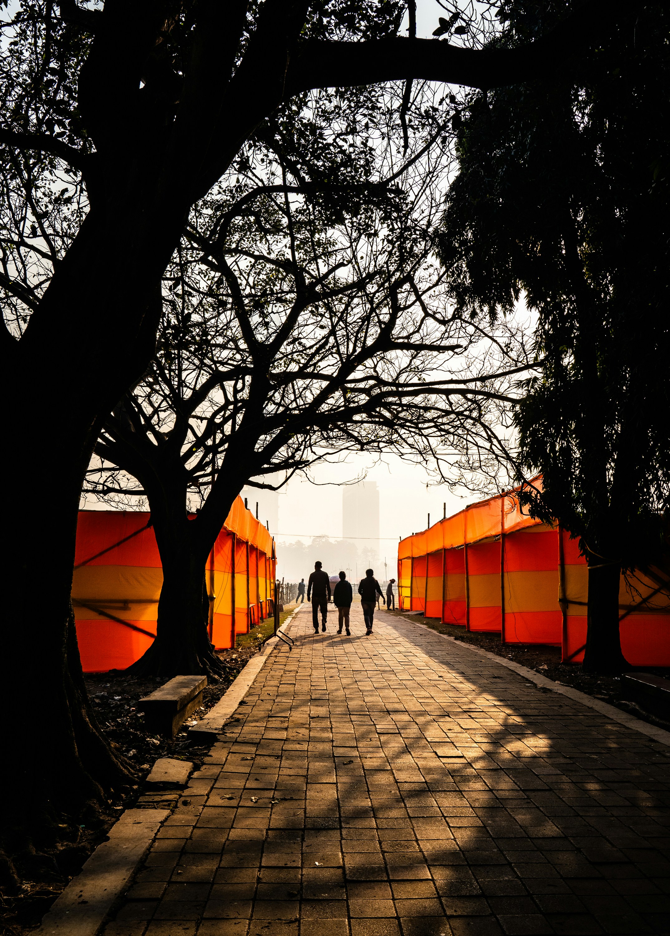 Convergence of Light Along a Sunlit Corridor Framed by Orange Tents