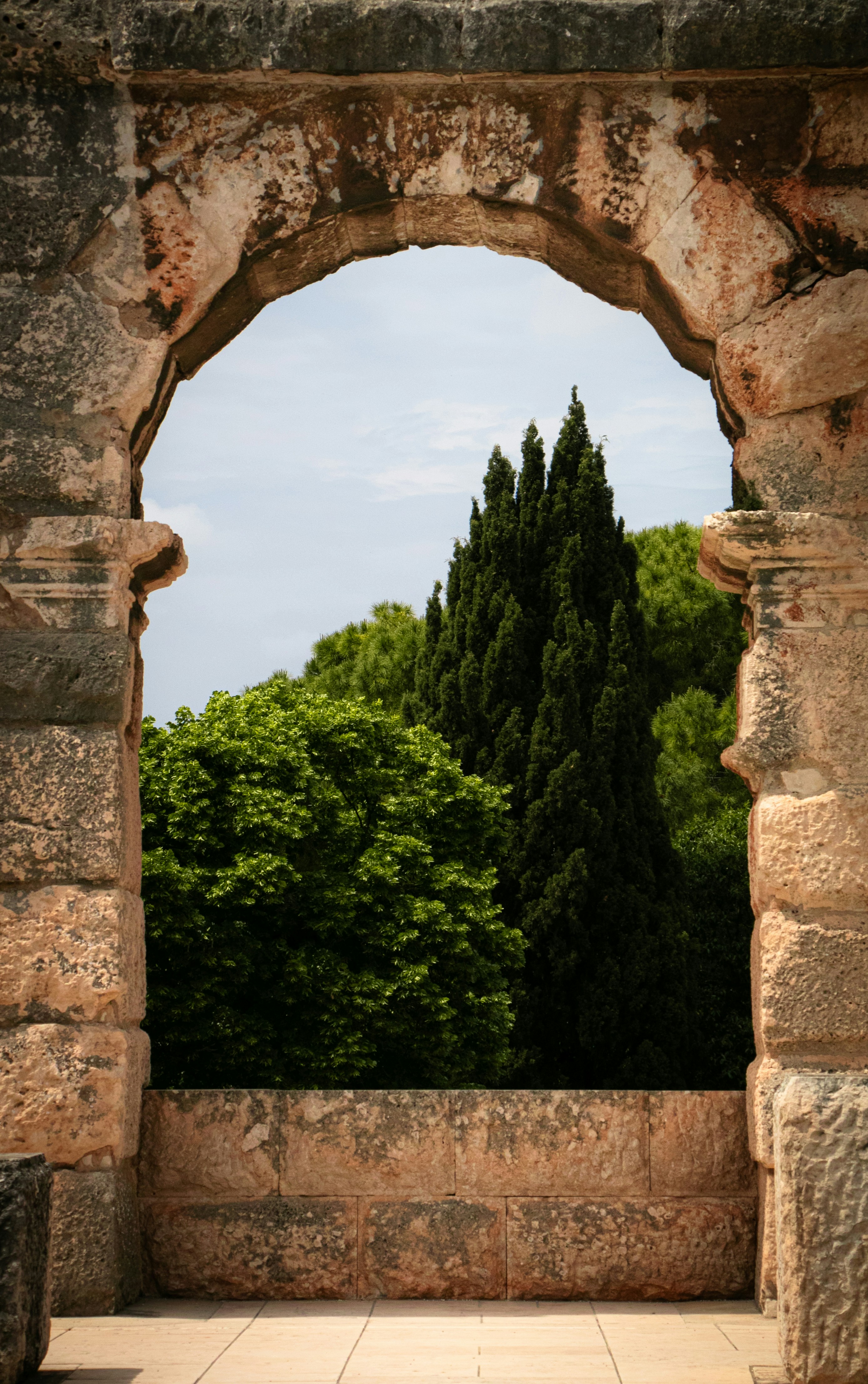 Photo by Michaela Challies with Canon EOS 80D