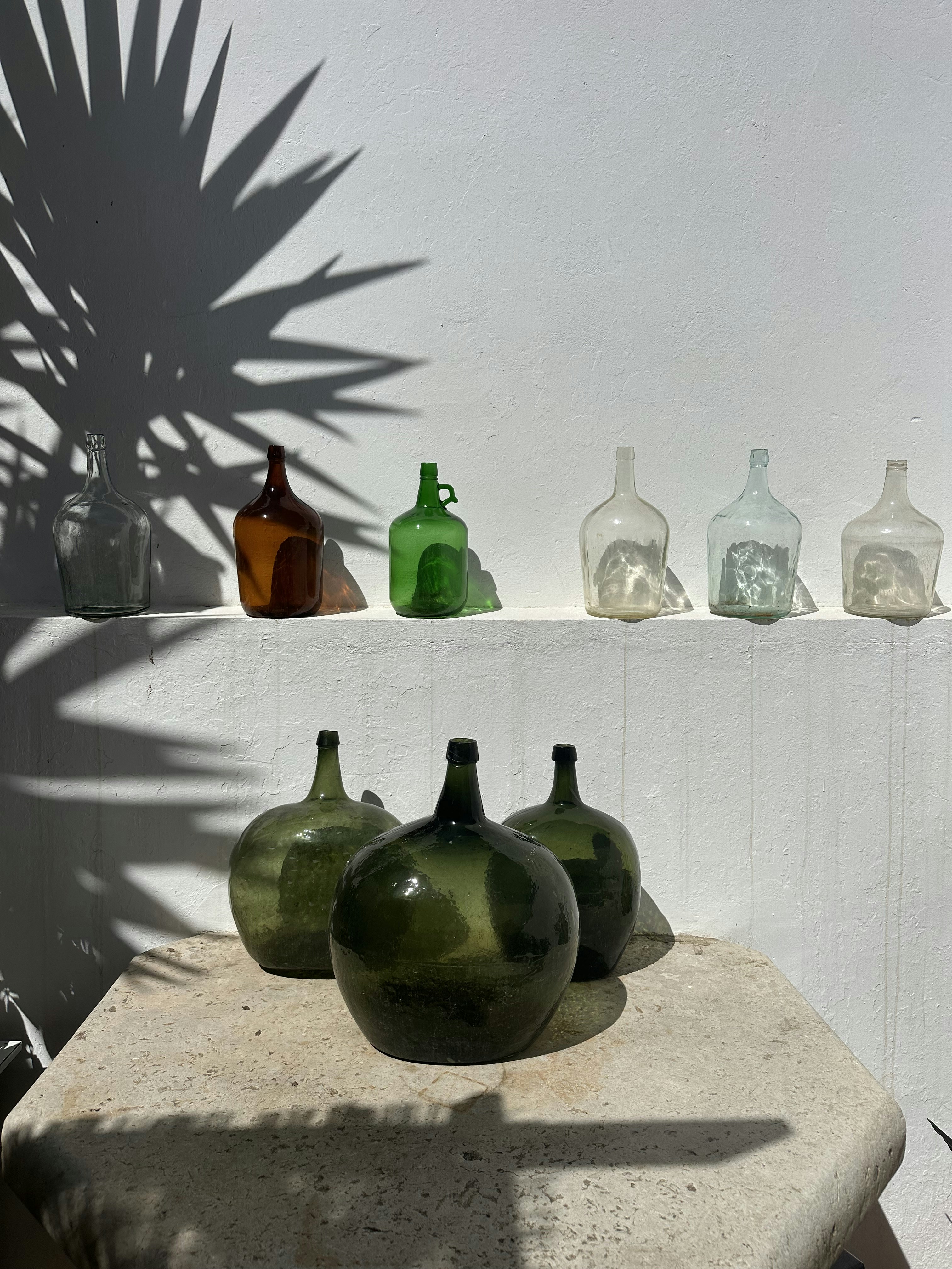 Palm-Shadowed Green Bottles on a White Backdrop