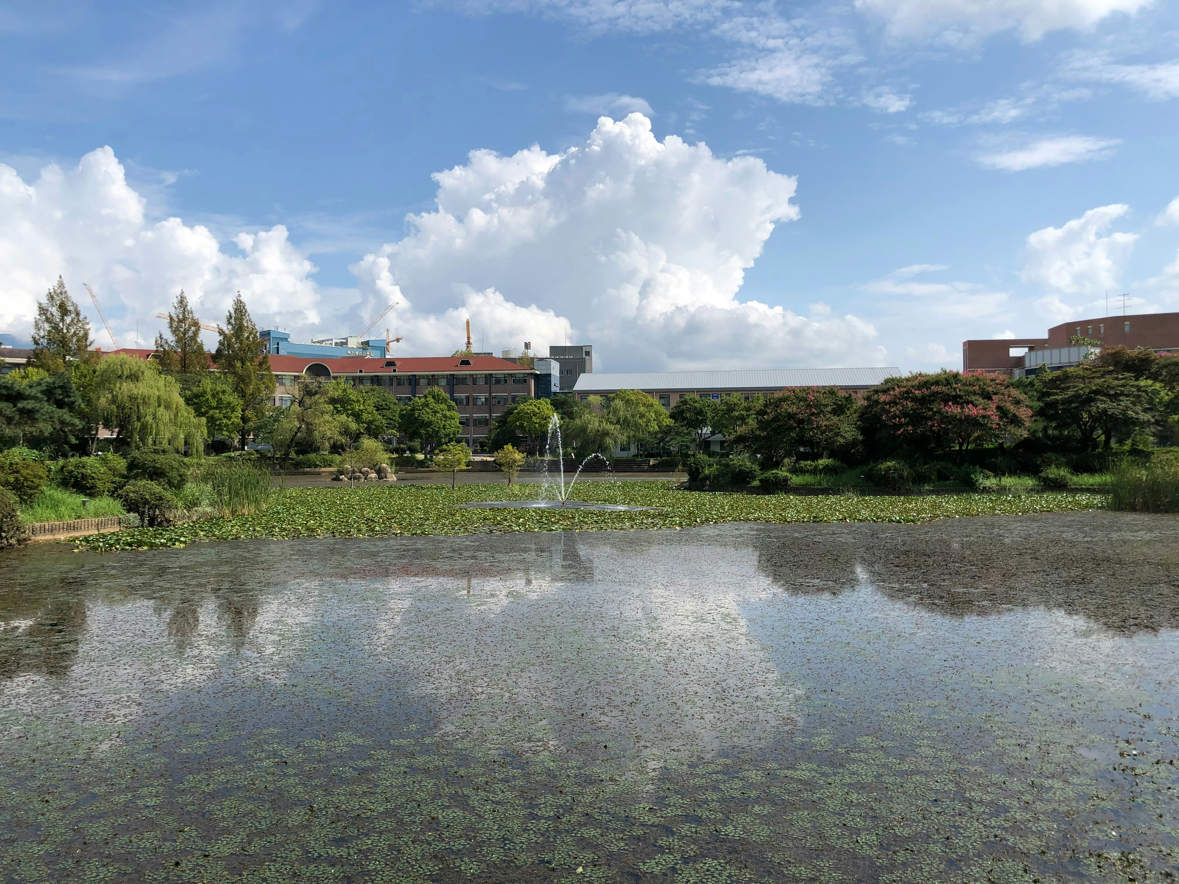 two side which one is you?