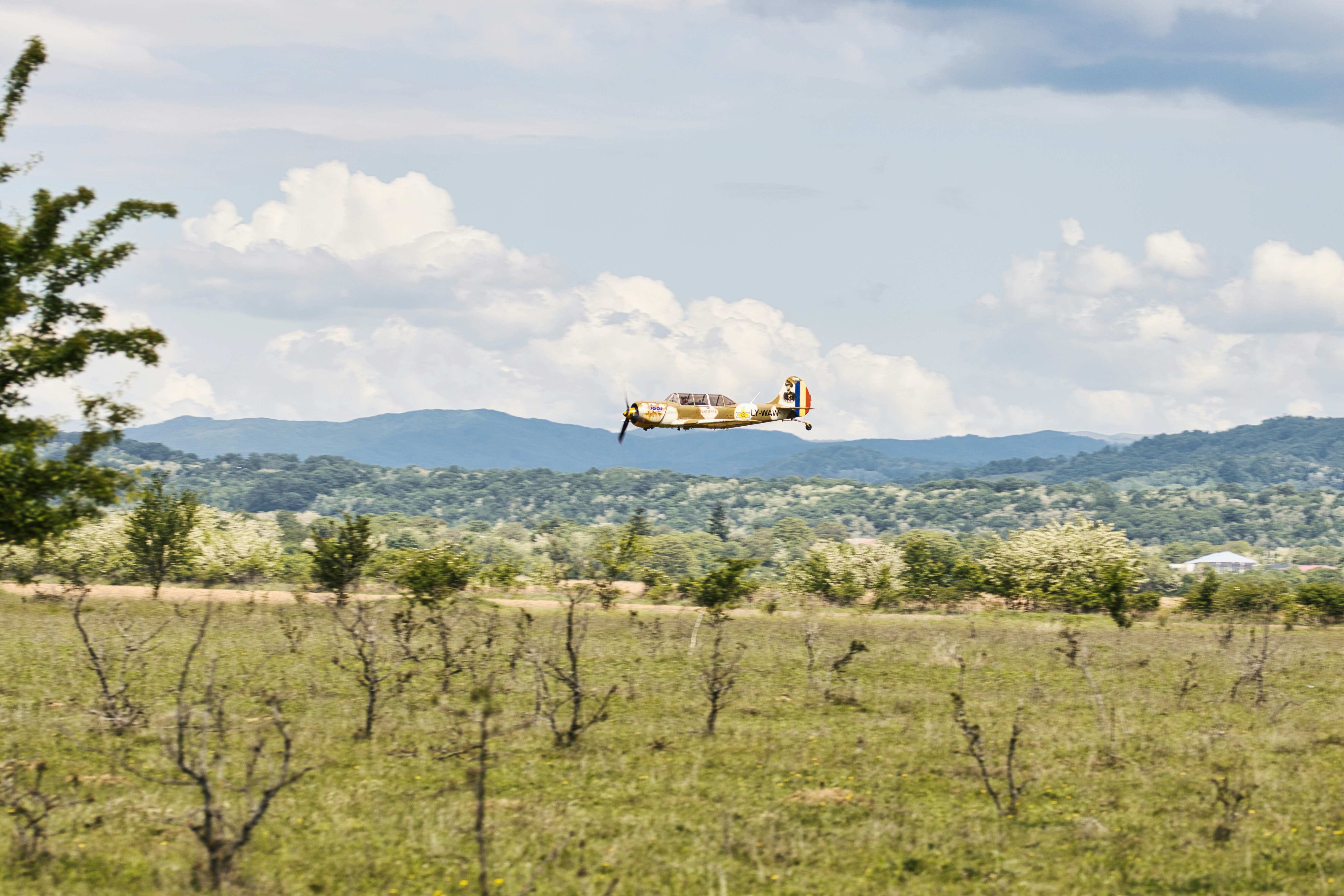 Una avioneta volando sobre un exuberante campo verde foto – Imagen de ...