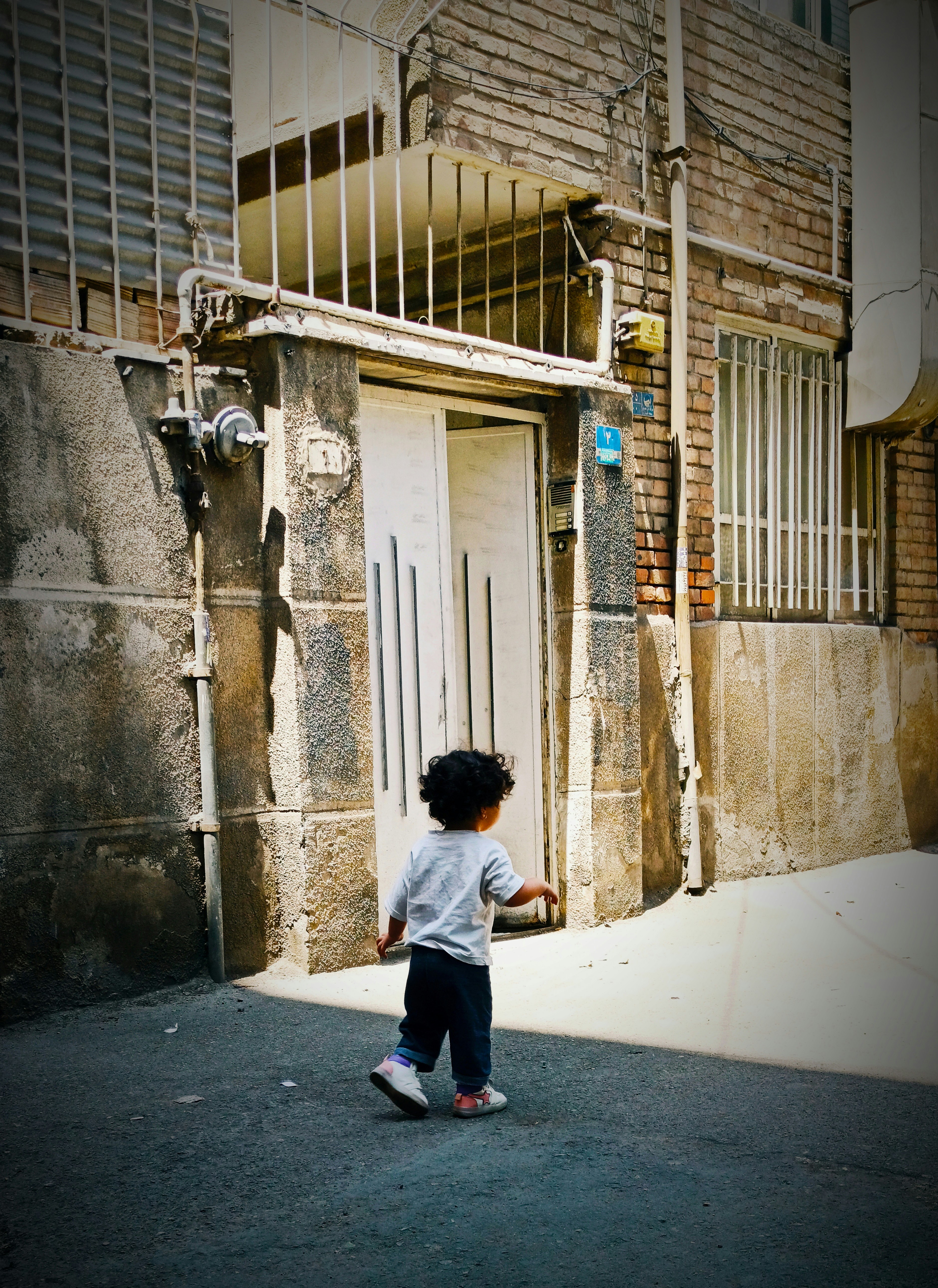Sunlit Threshold: A Small Wanderer Approaches an Urban Door