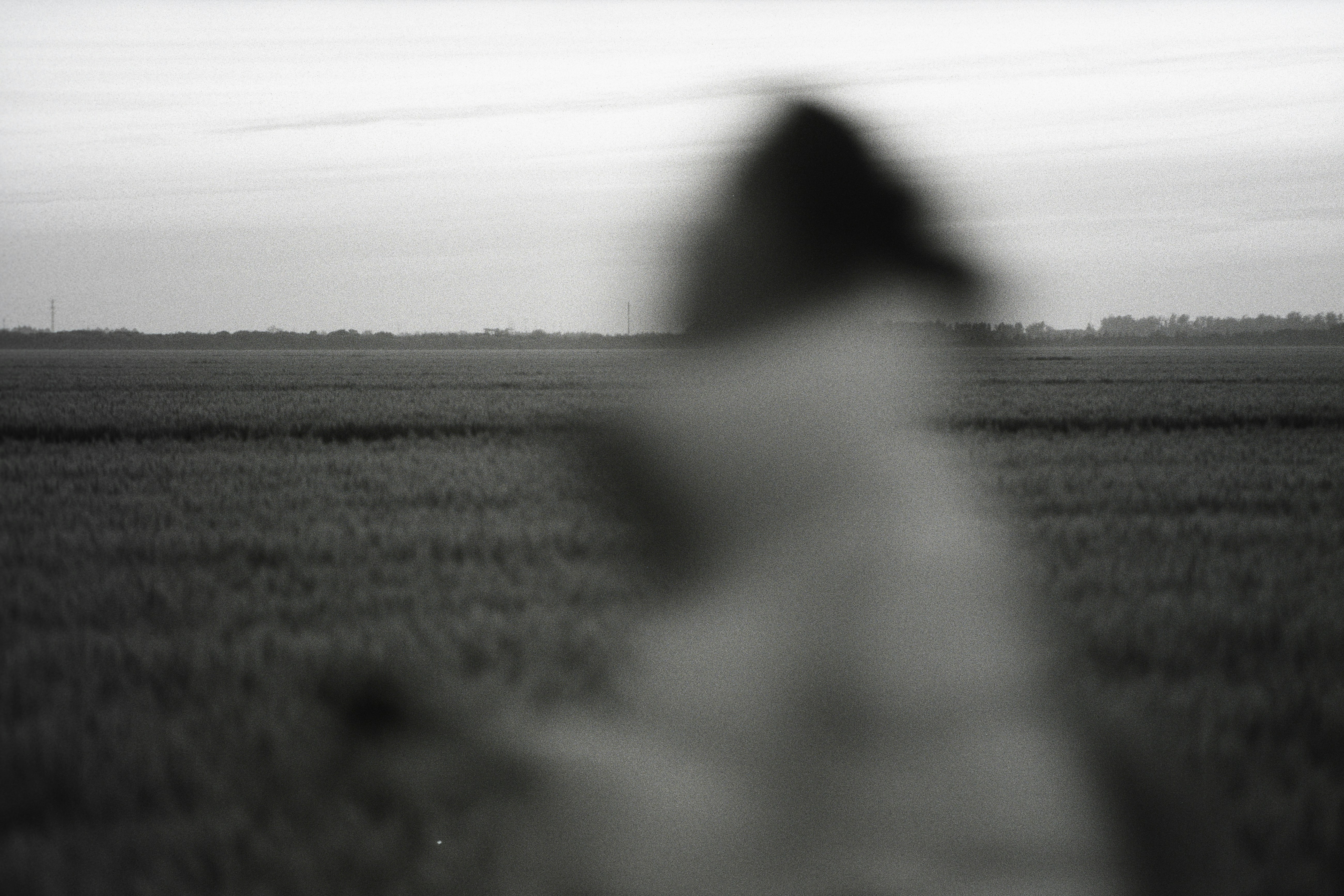 Ghost in the Field: a blurred silhouette drifts across a grayscale horizon