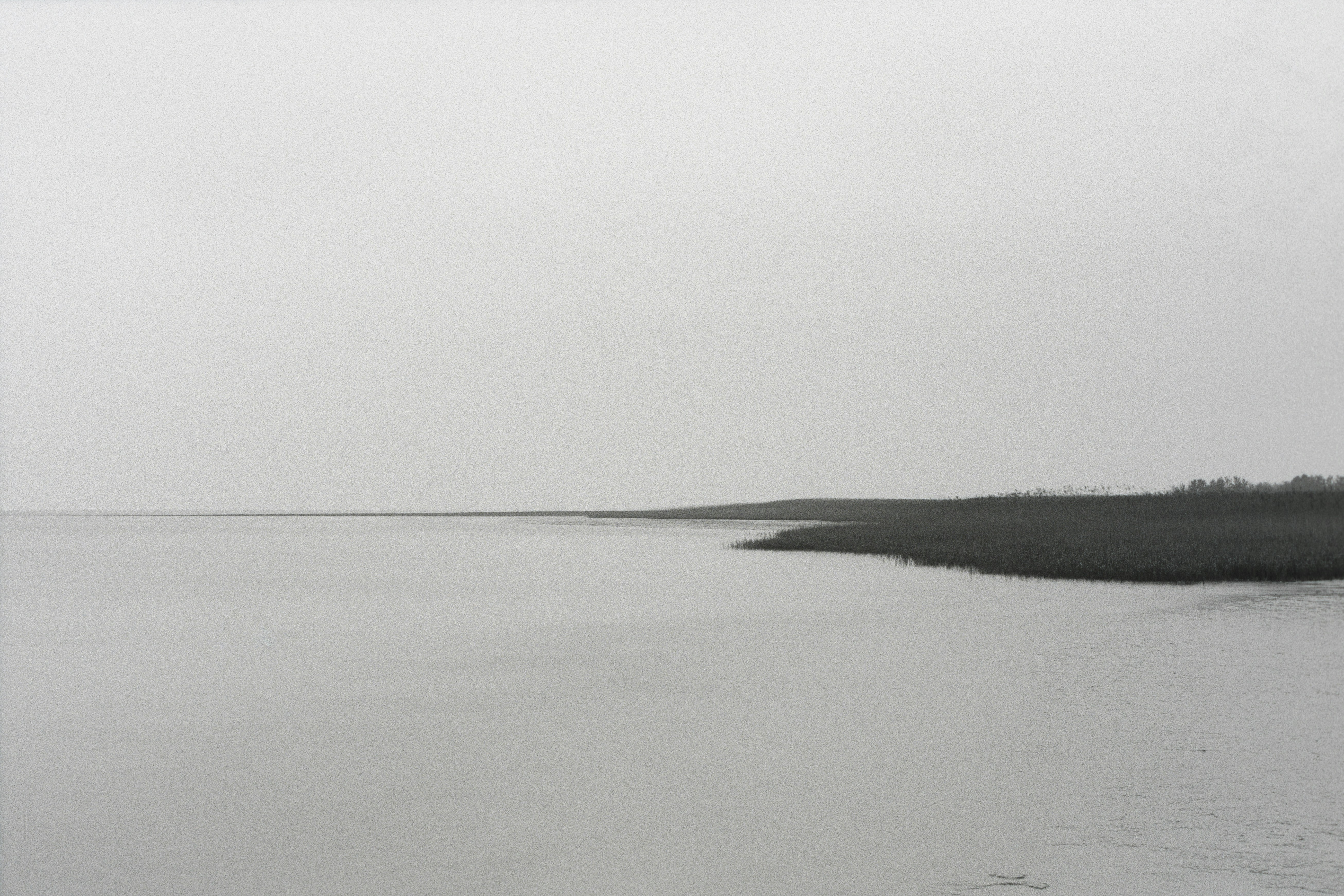 🎞️ Rollei RPX 100｜🖨️ EOS R6 + RF 100mm f/2.8L Macro｜📷 Canon New F-1 + FD 135mm 1:2.5 S.C.