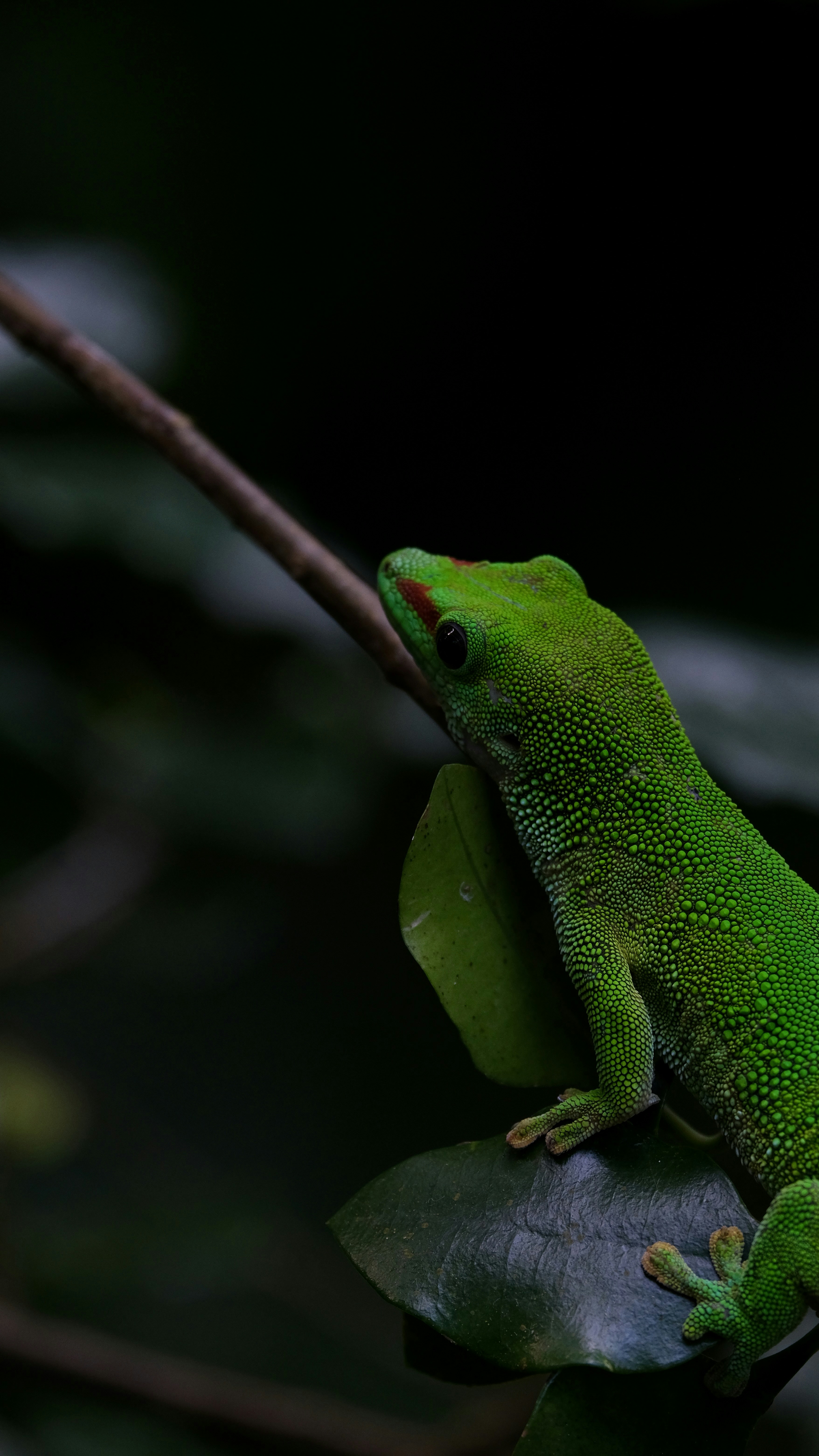 Photo by Timo K with Fujifilm X-T30 II