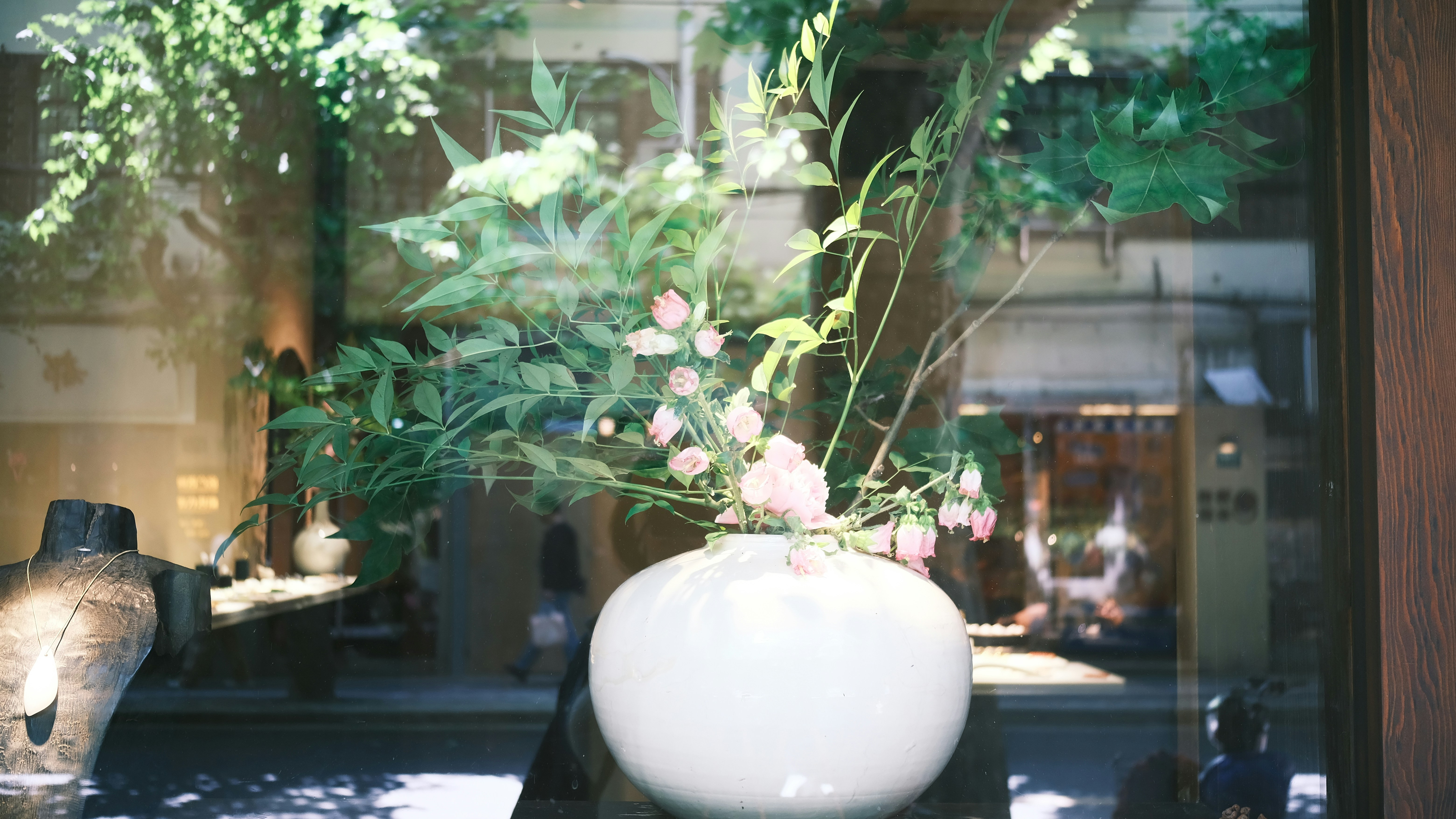 White Ceramic Vase with Blush Blossoms Framed by Window Reflections