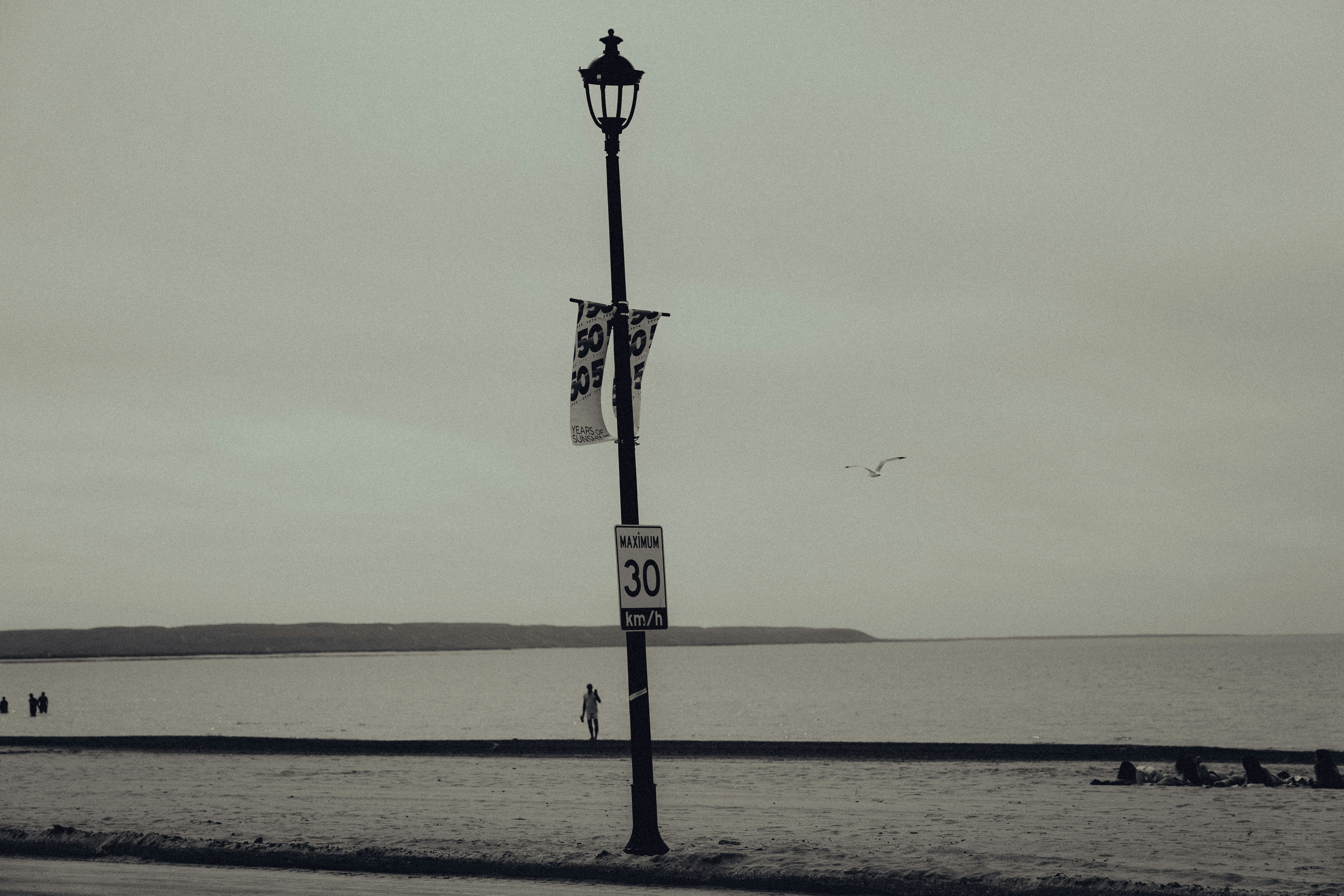 Lamp Post Vigil by a Quiet Coastal Promenade at Dusk