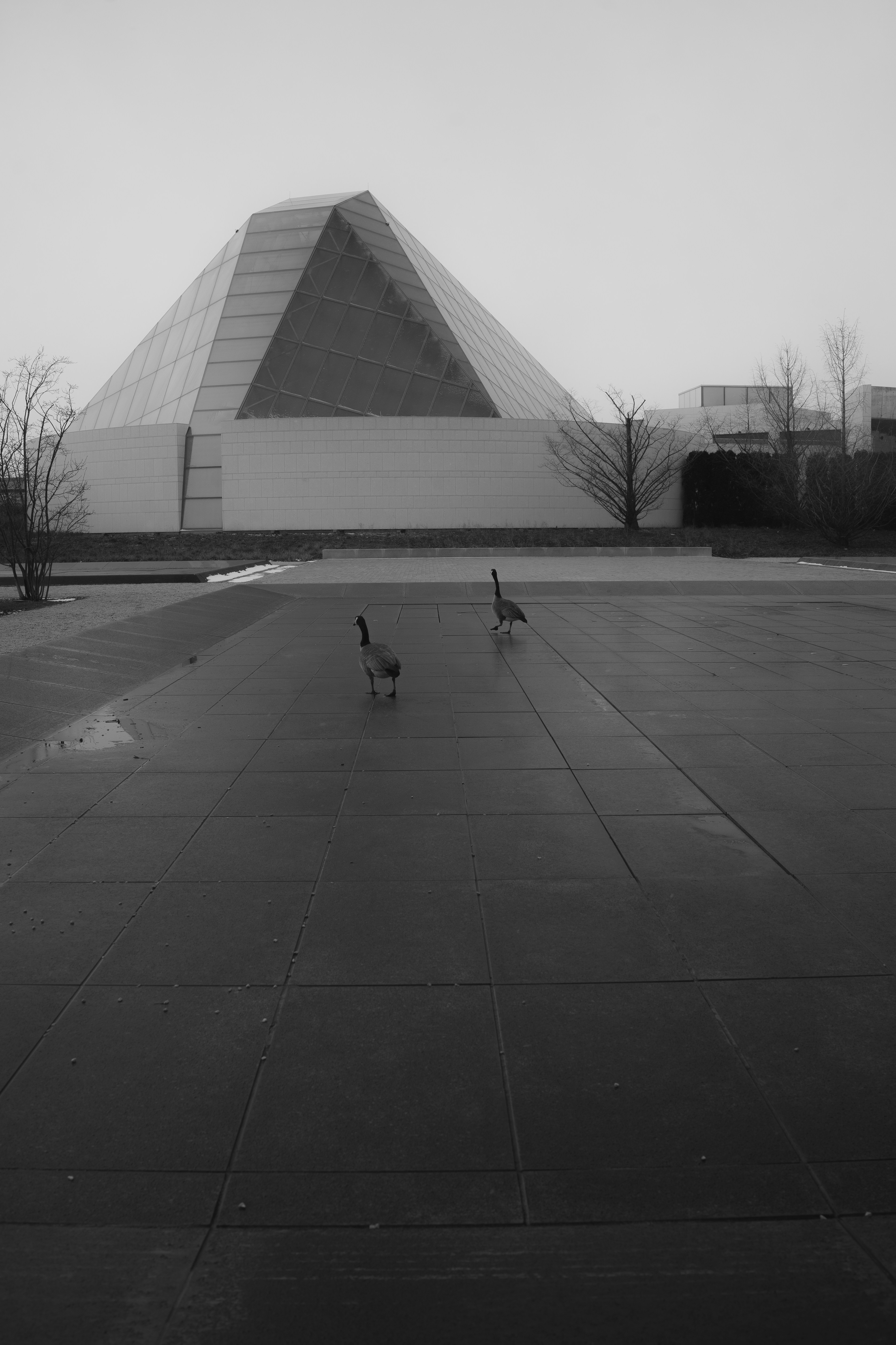 Geometric Architecture and Quiet Path