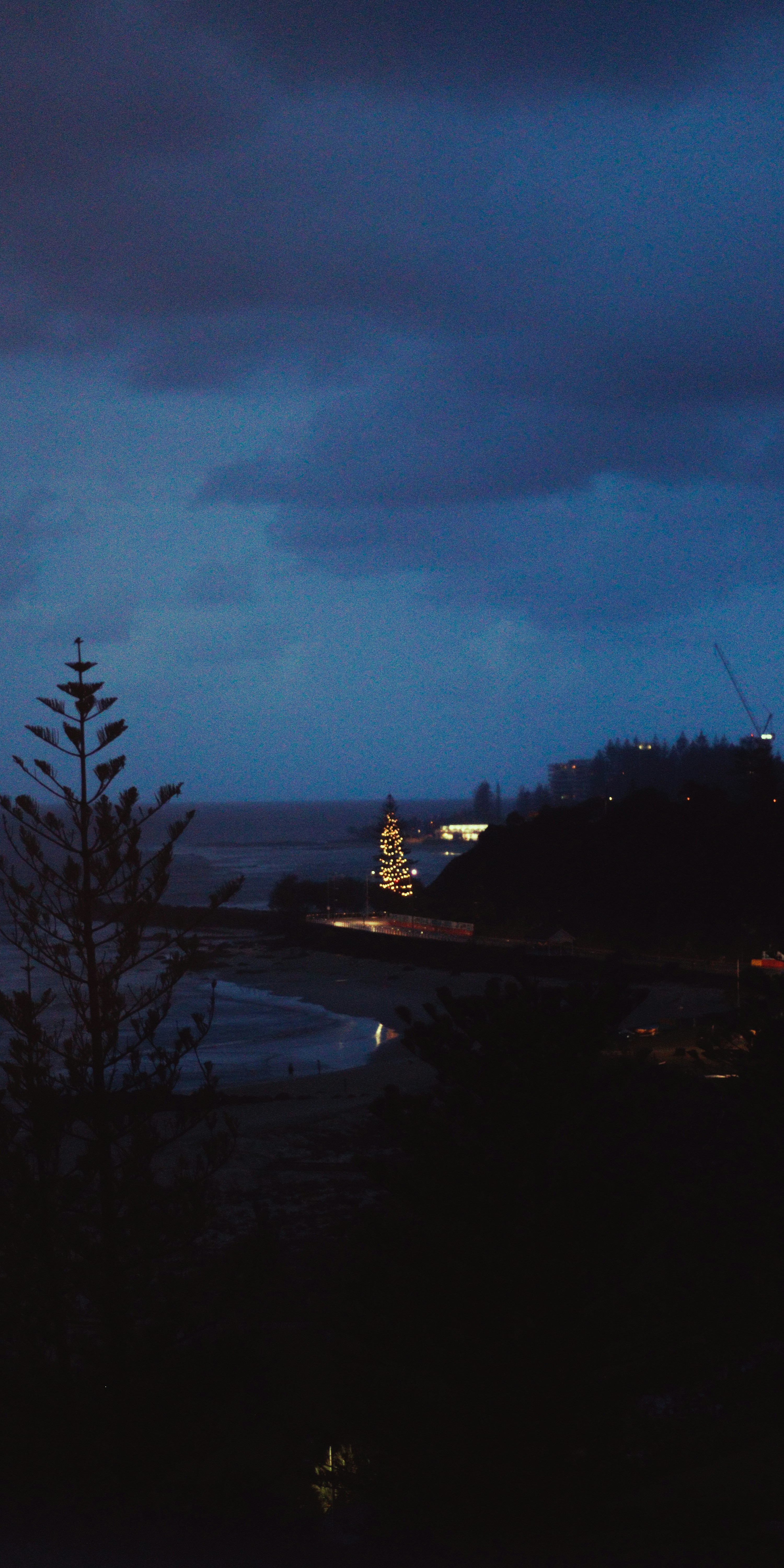 Coastal Quiet at Dusk: A Lone Christmas Tree Illuminates the Seafront