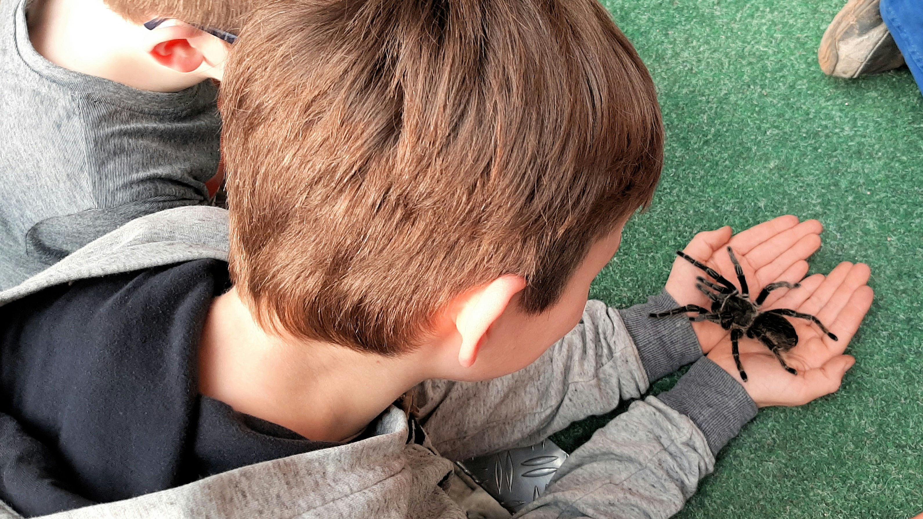 Photo by Gundolf Lange with Samsung Galaxy A50