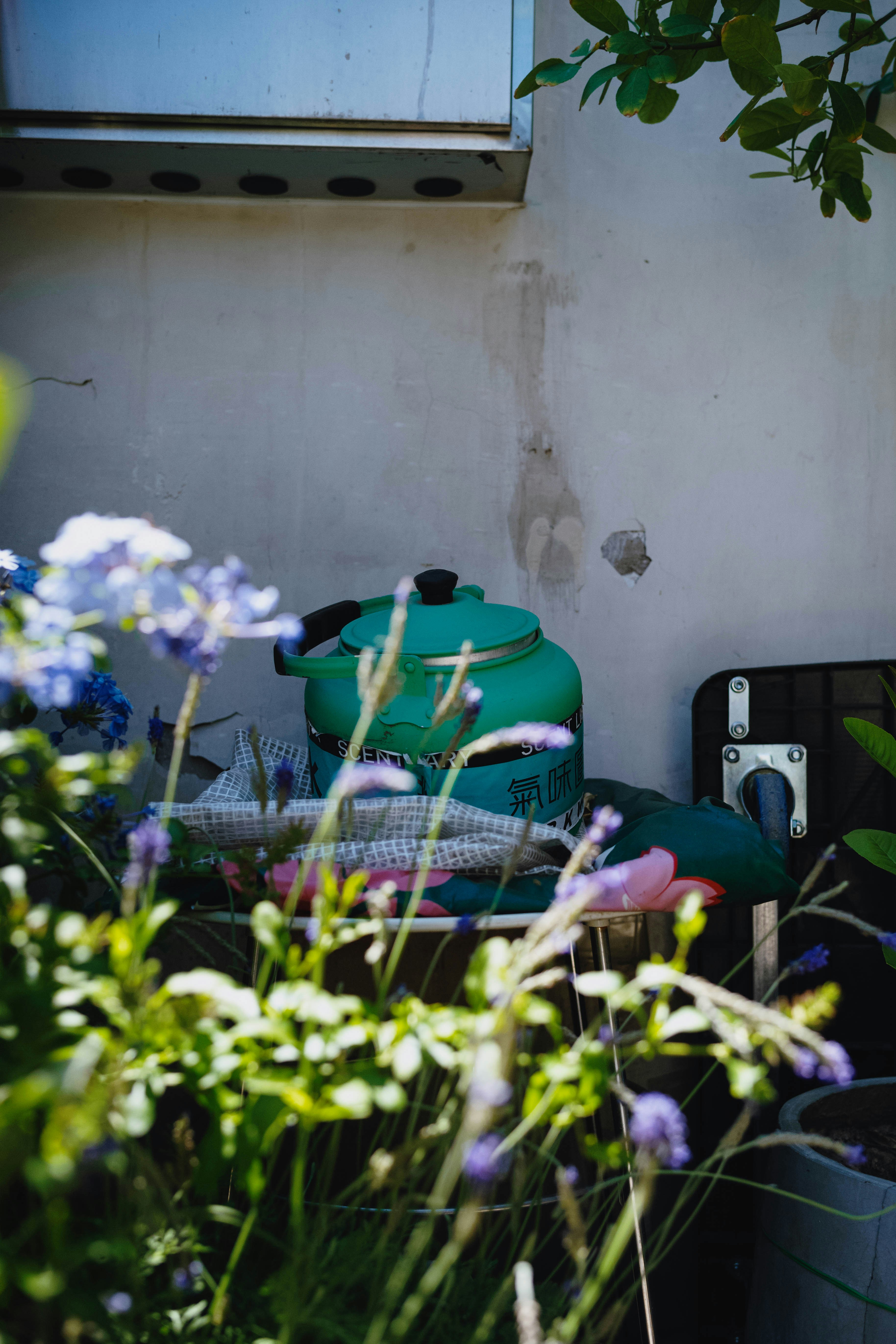 Green gas can on a garden shelf framed by blooming foreground